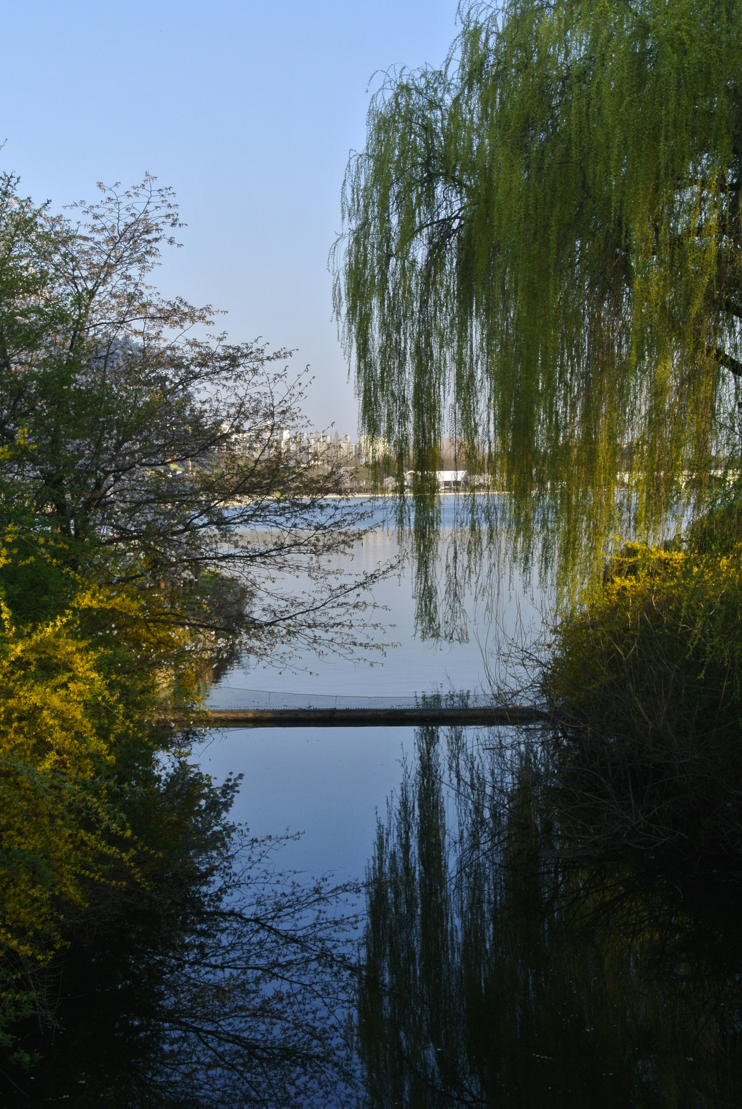 Willow Gate Over Calm Waters