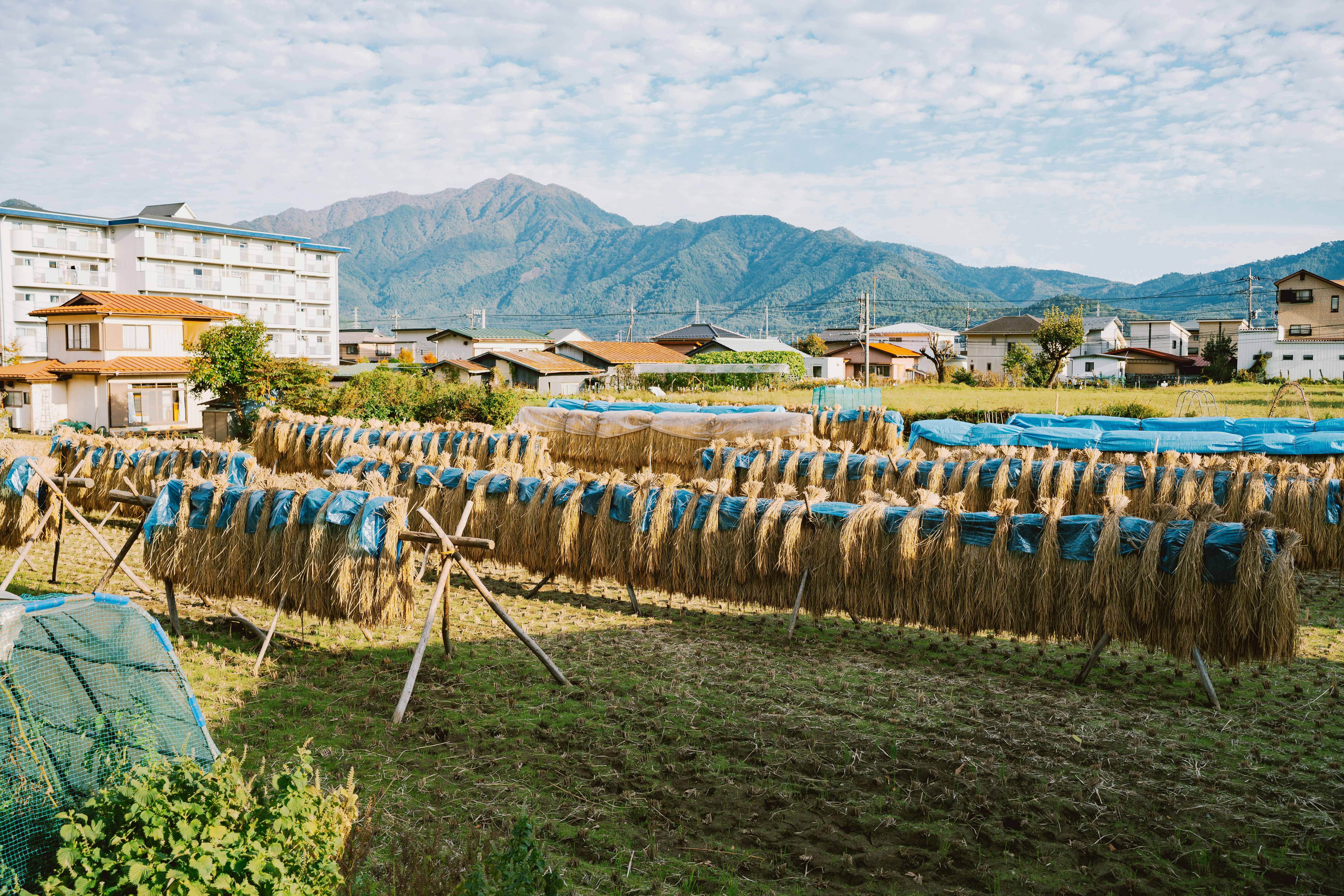 Hanging Bales and Mountain Horizon