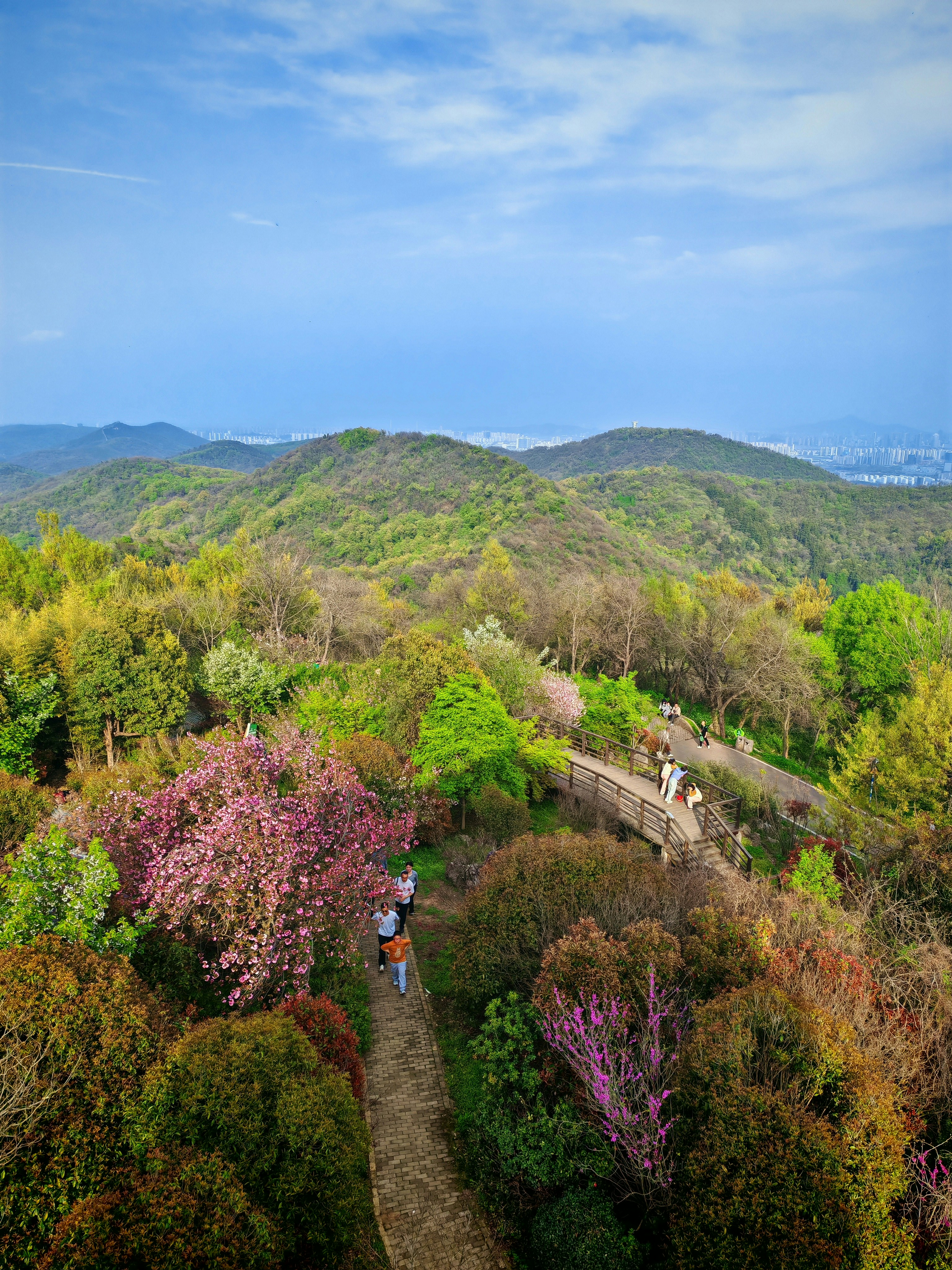 Elevated Garden Path Winding Through Spring Blossoms