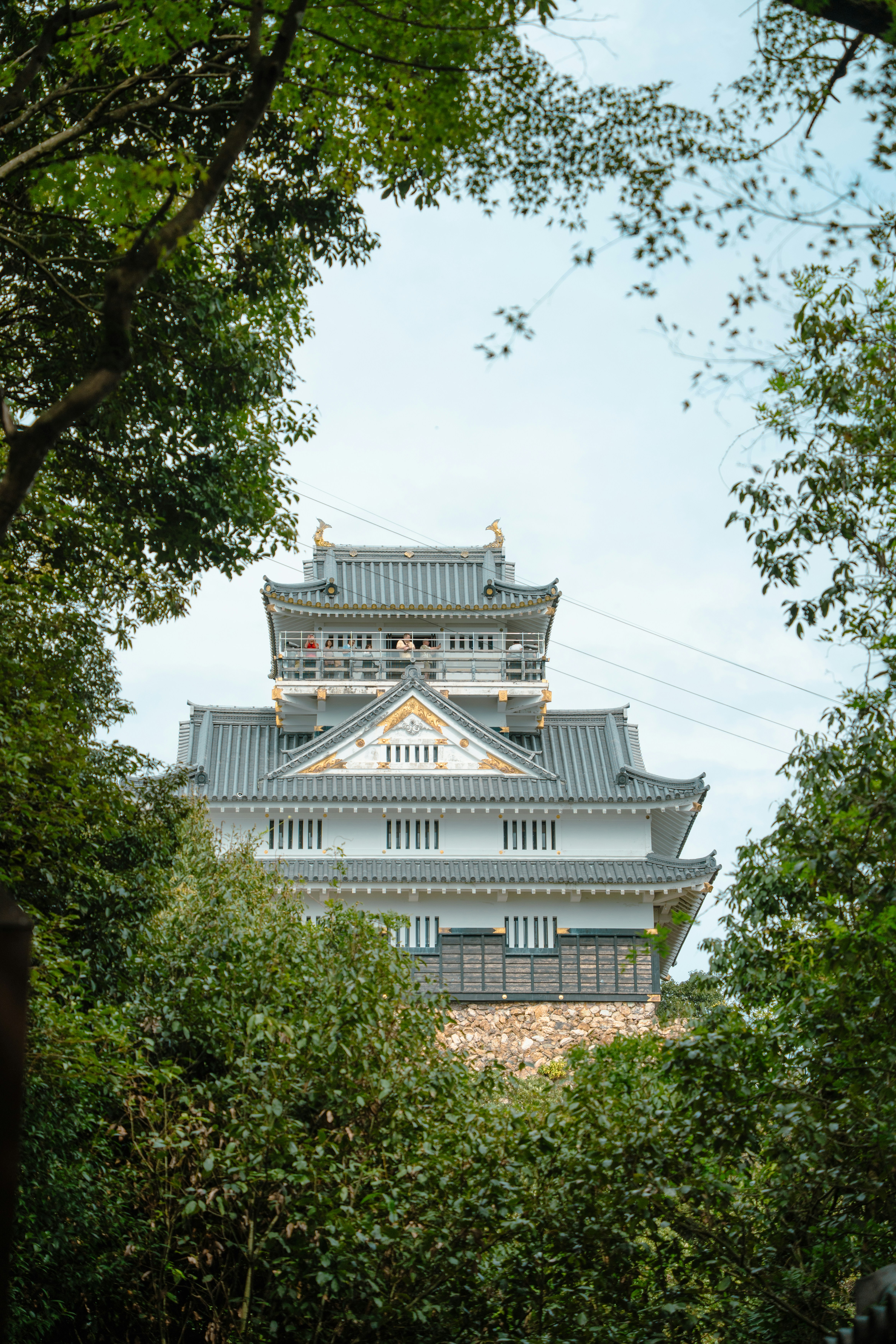 Temple Tower Framed by Verdant Arches