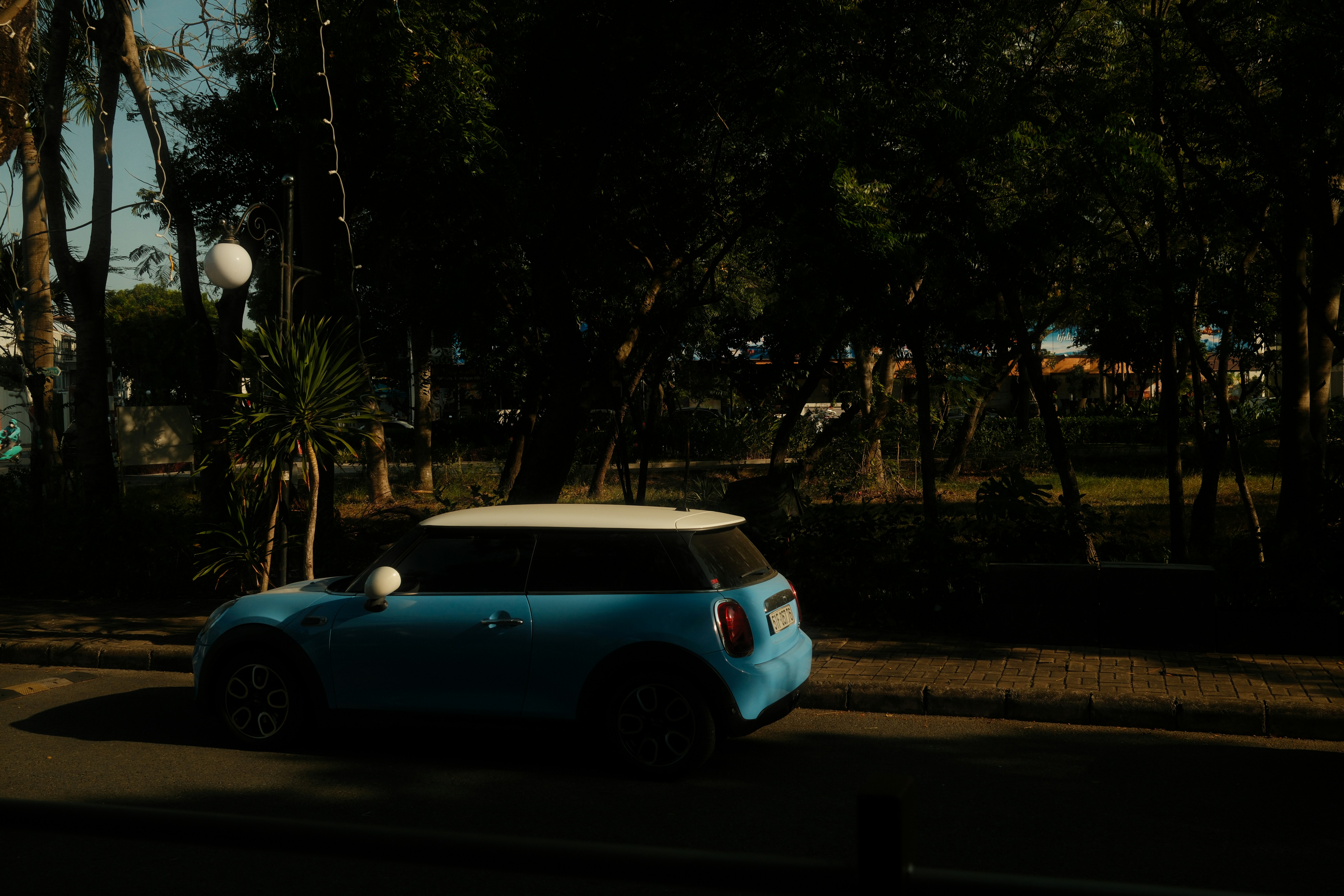 Blue Mini Cooper in Partial Shadow Along a Tree-Lined Street