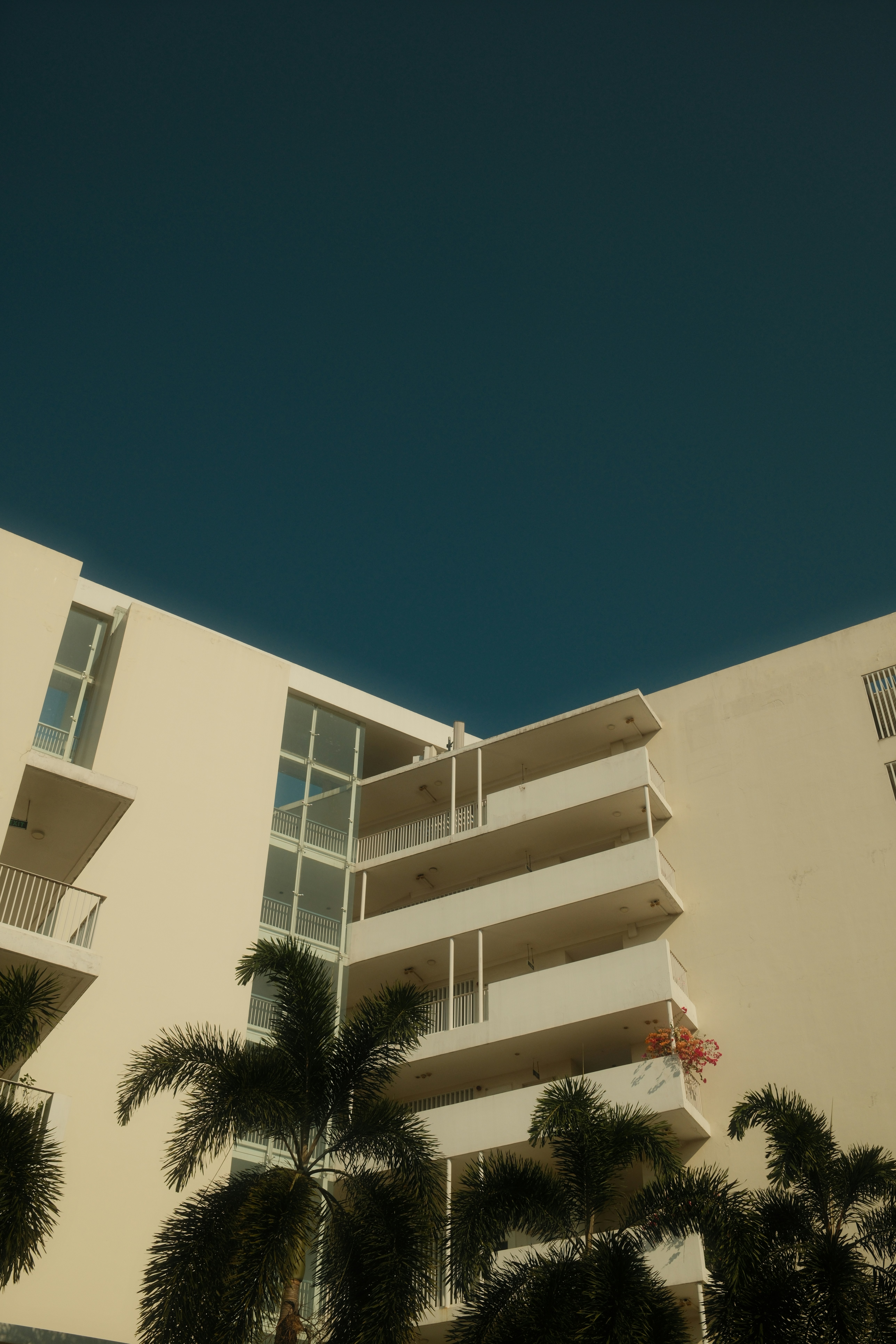 Sunlit Terrace: Modernist Apartments Reach for the Sky