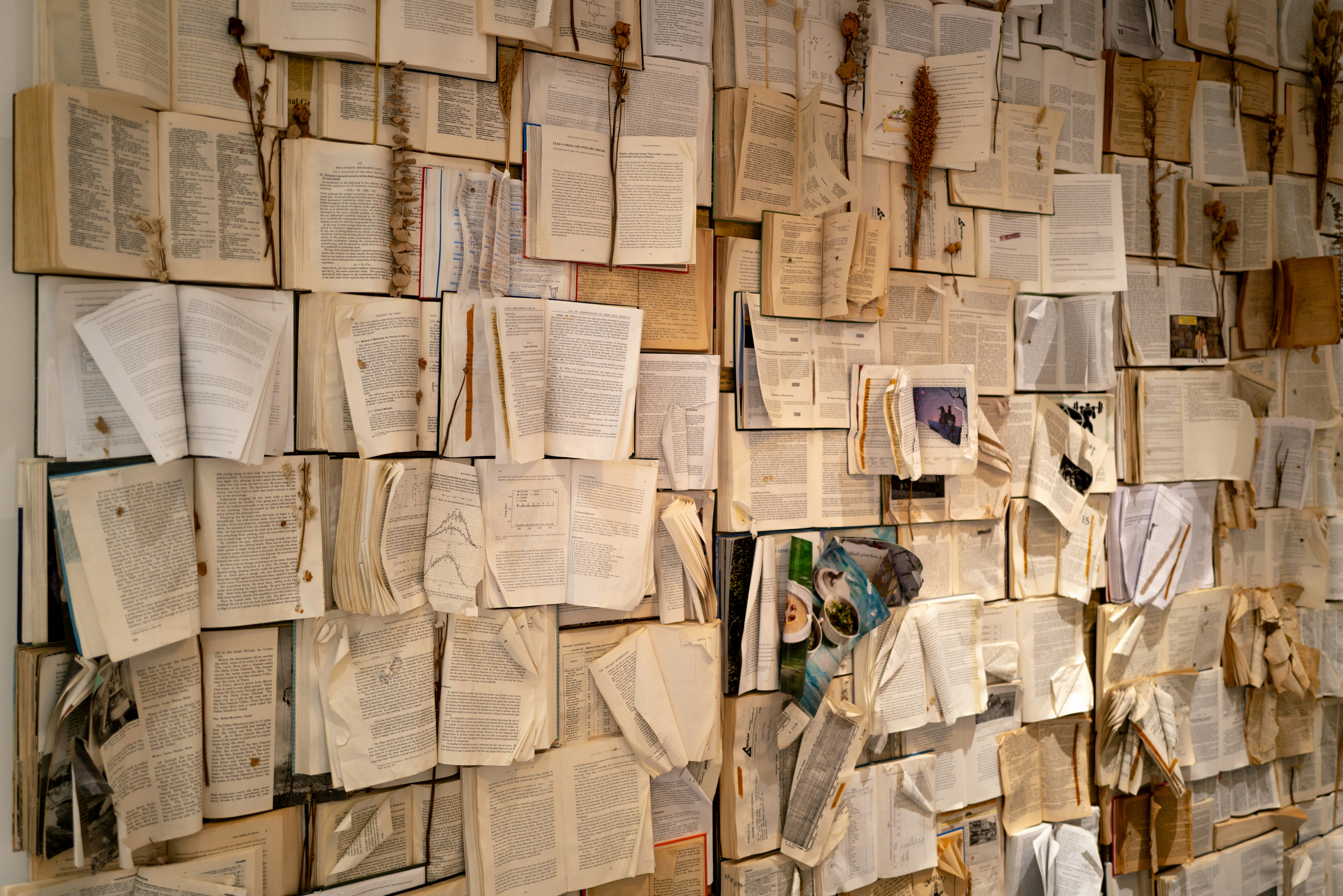 Library of Echoes: A Wall of Weathered Pages