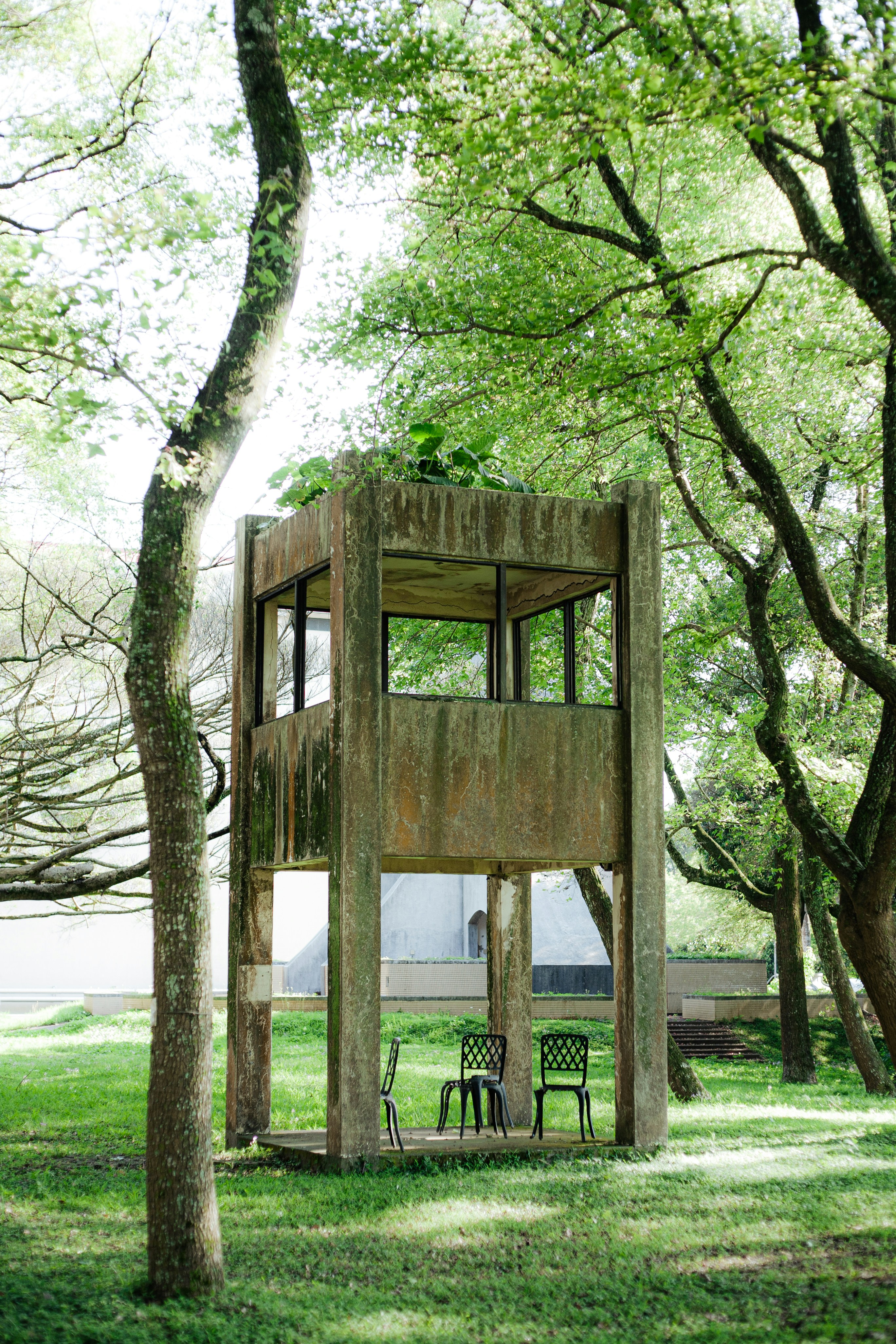 Rust and Roots: A Weathered Watchtower in a Quiet Green Clearing