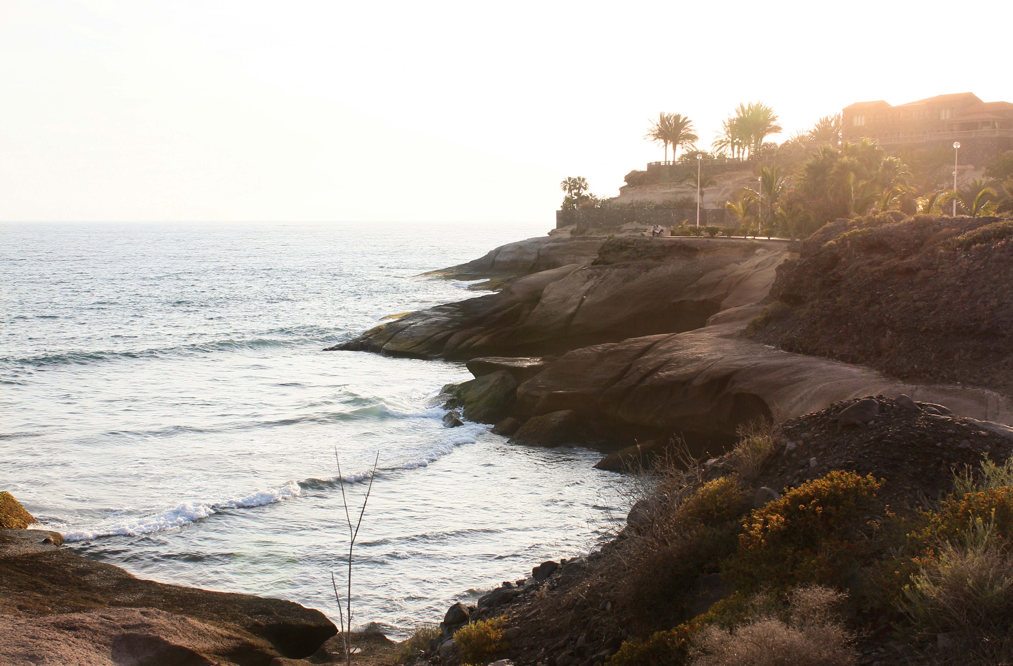 Coastal Edge: Sunlit Cliffside Overlooking the Sea
