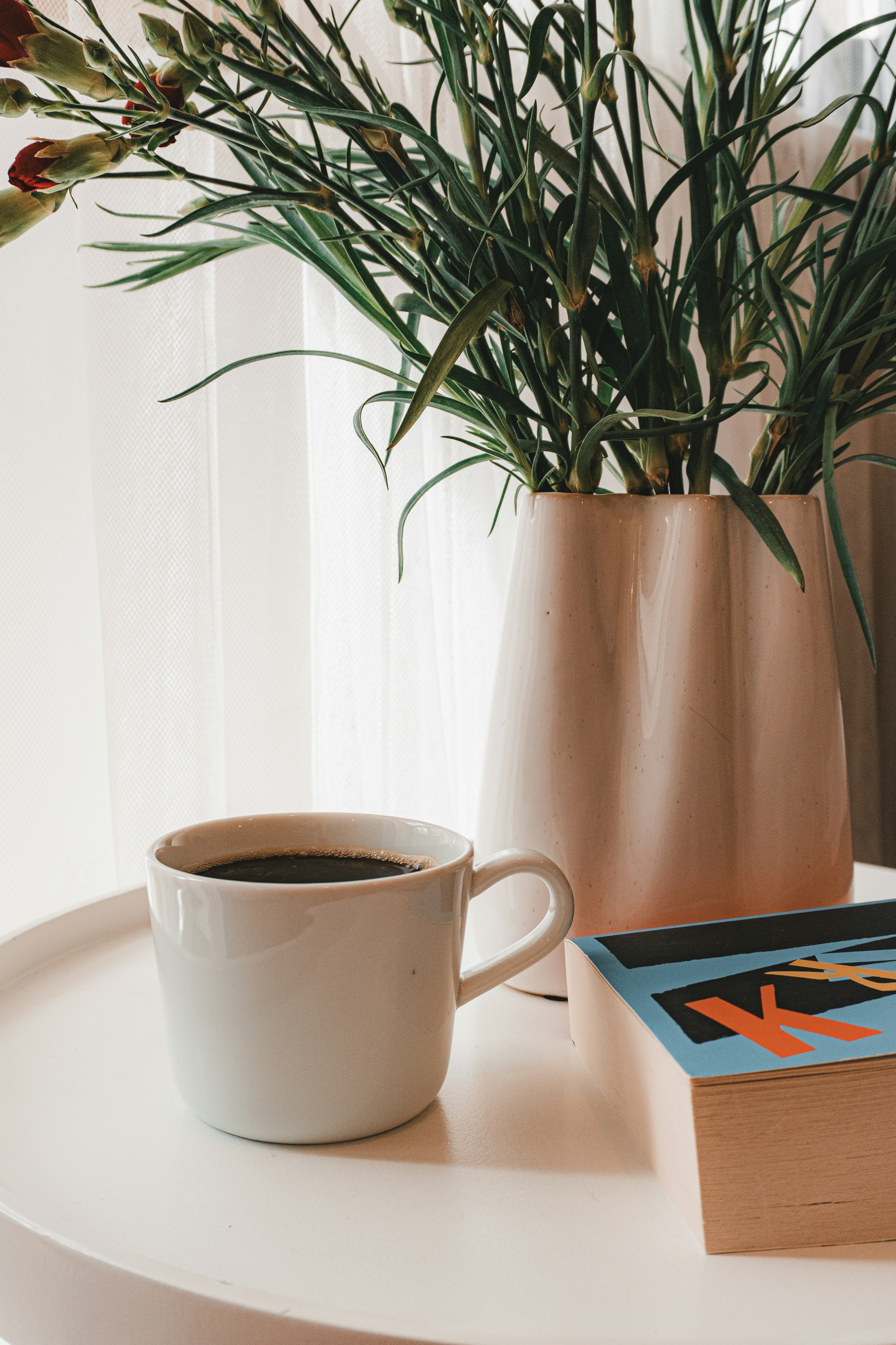 Quiet Morning: Coffee by the Plant and Book