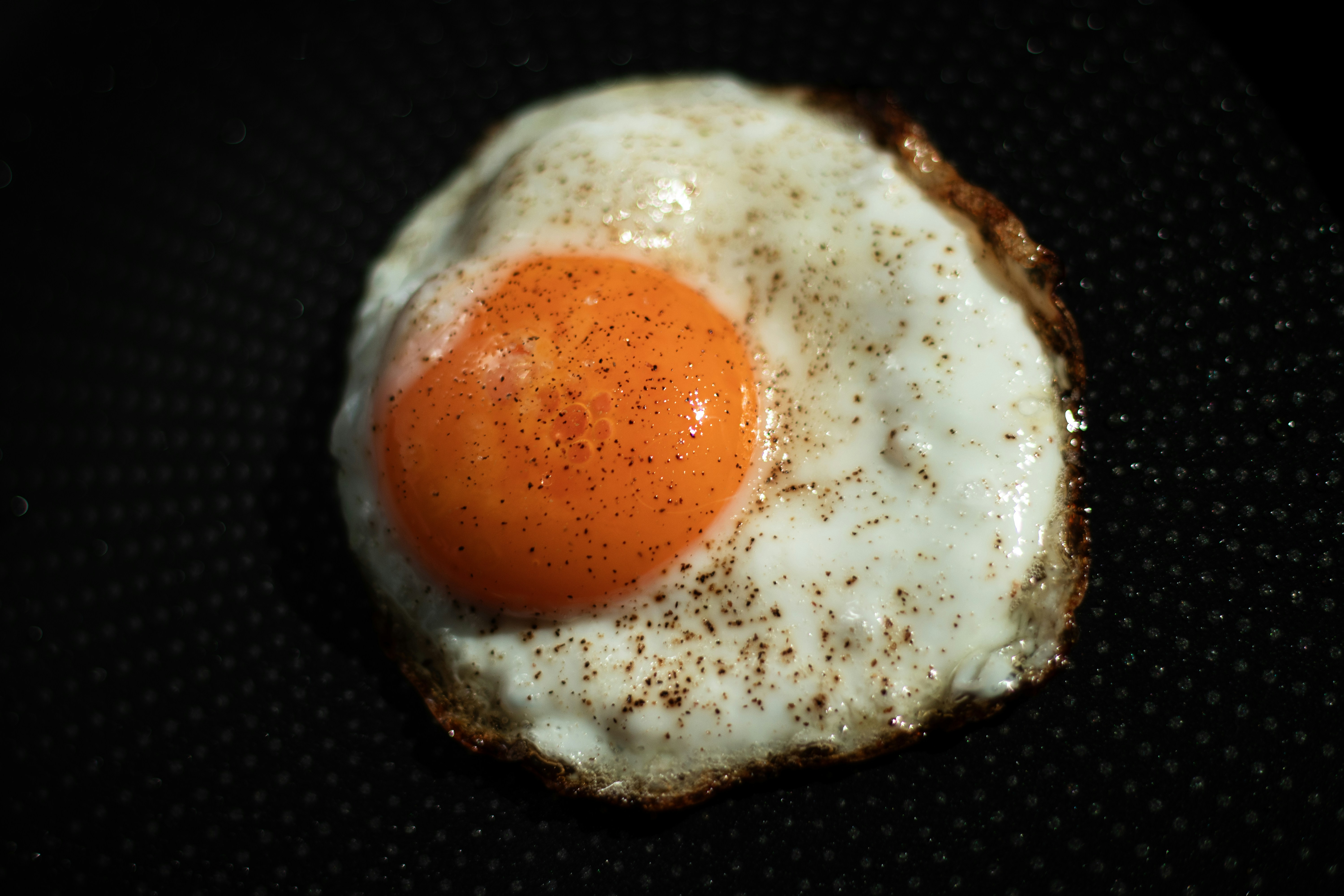 Egg in a Black Canvas