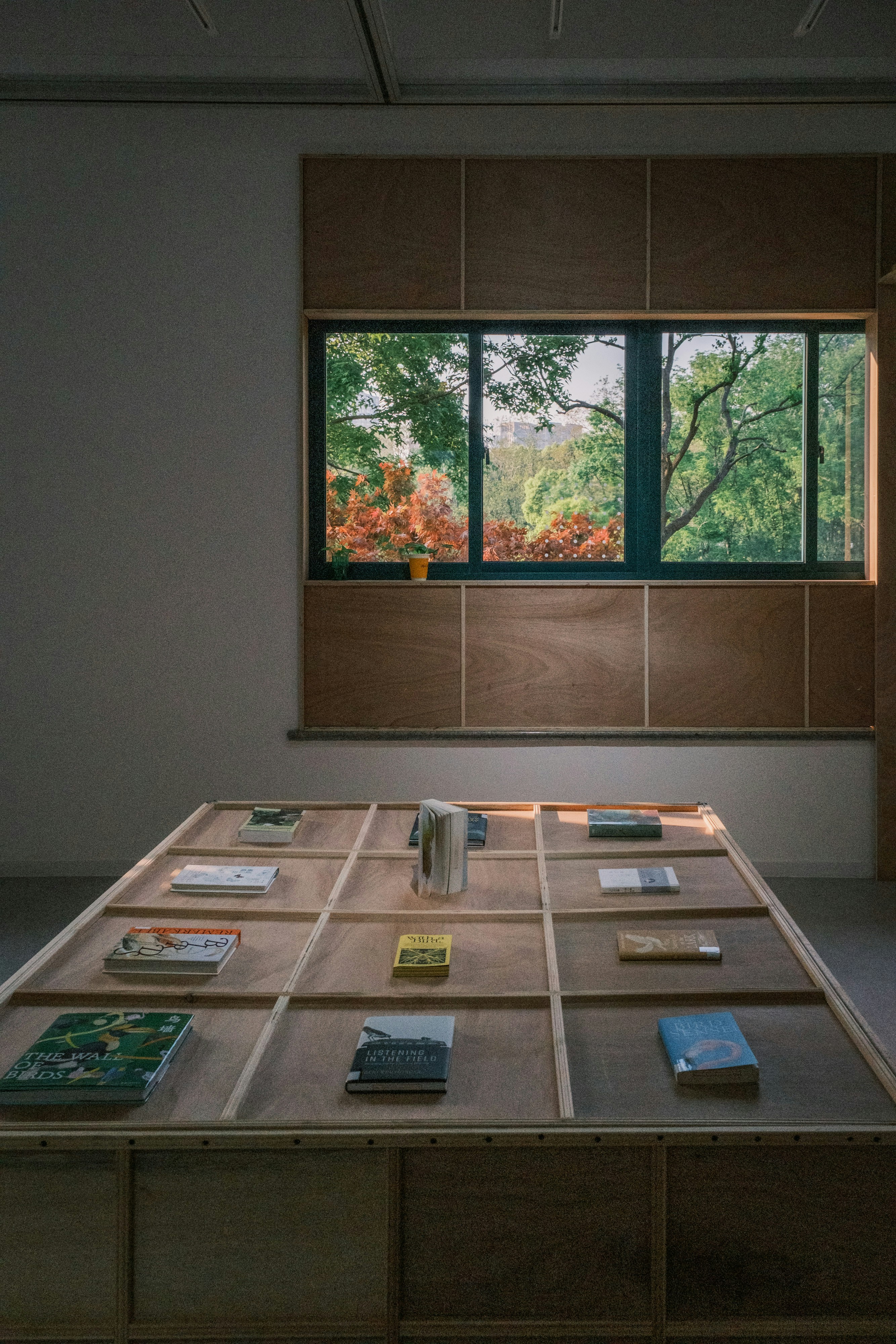 Quiet Library of Pages: A Reading Table Beneath Windowed Light