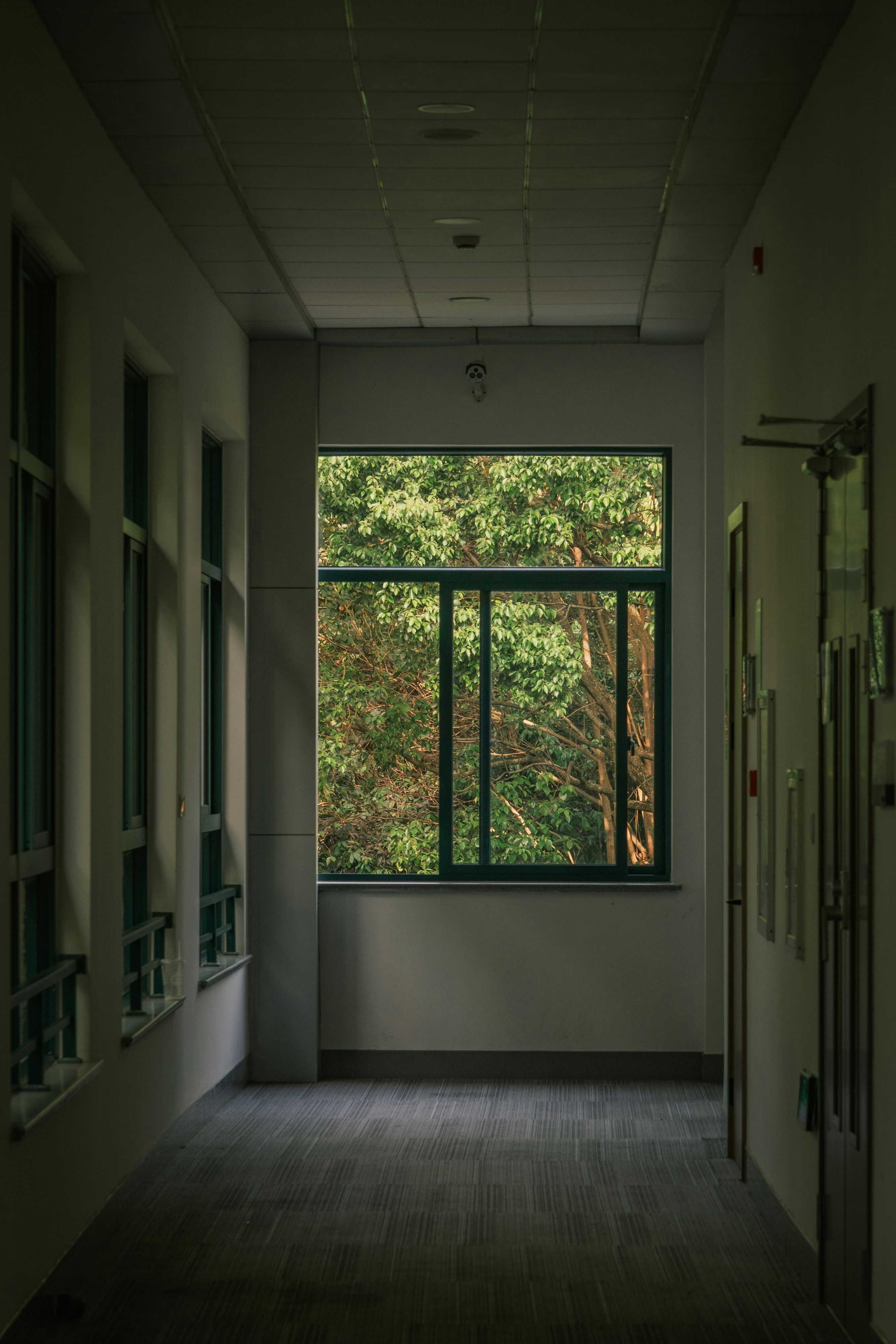 Light at the End of the Corridor: Window Frame Framed by Dim Hallway