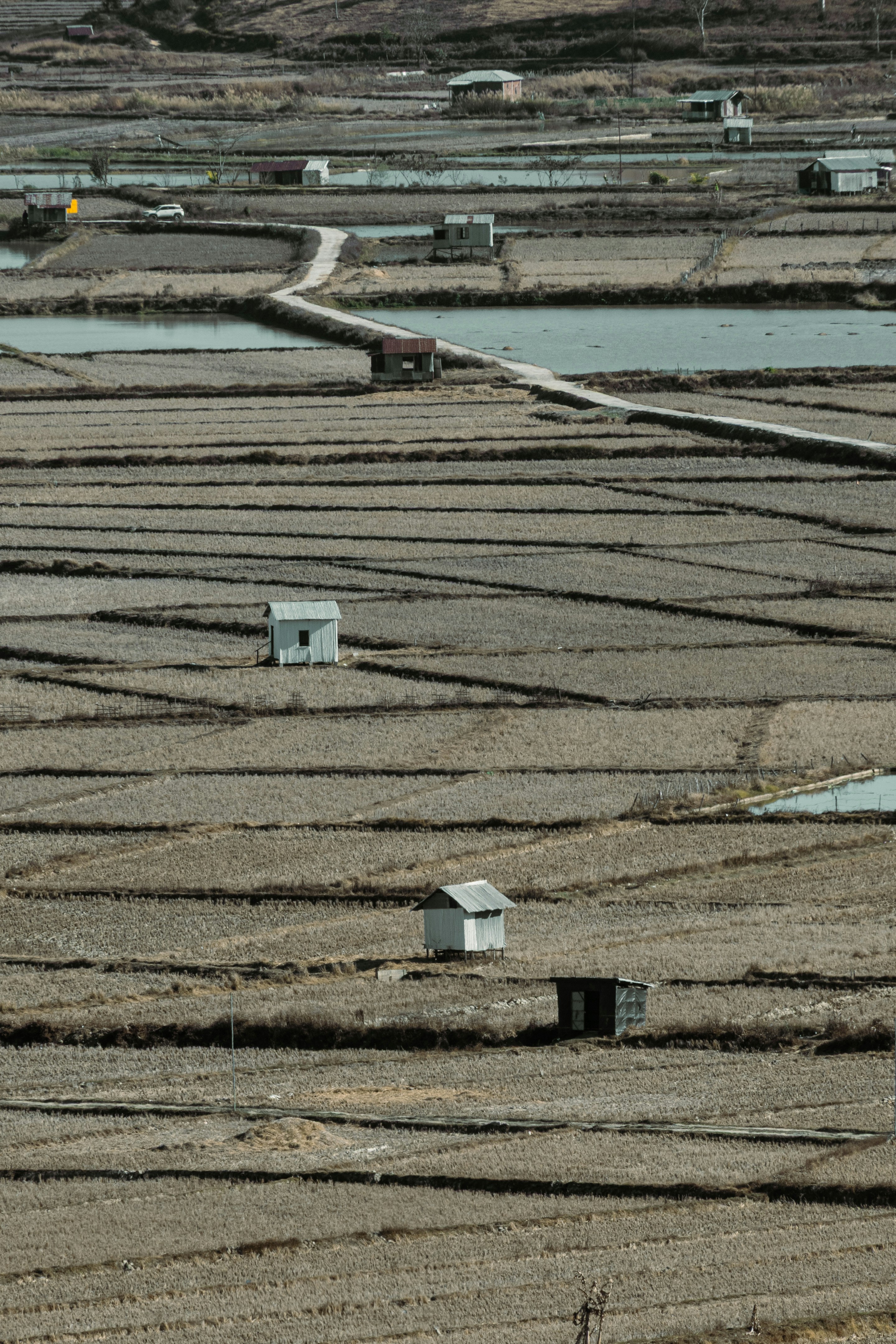 Terraced Fields with Small Utility Sheds Under Flat Skies