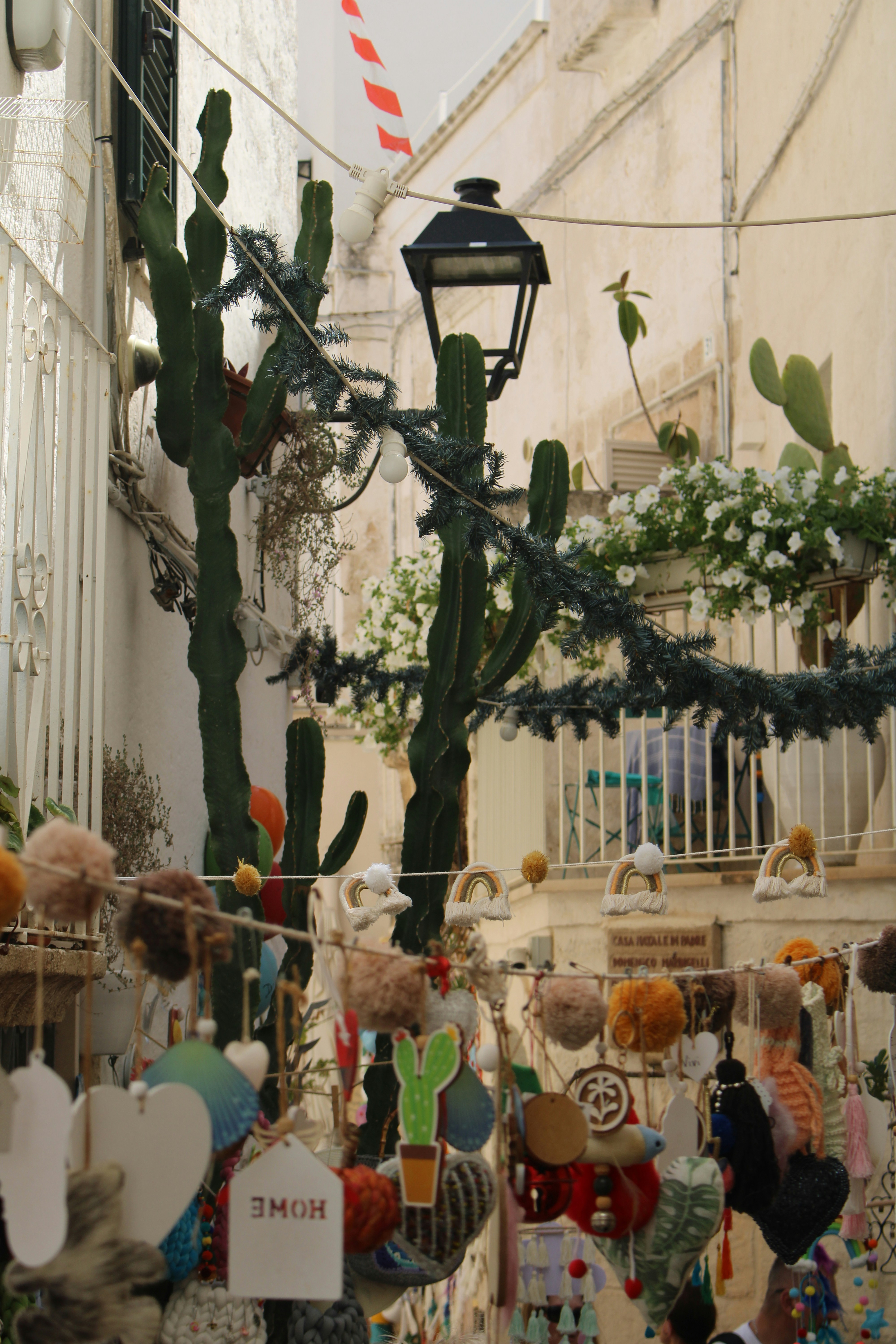 Cactus Lanterns on a Festive Narrow Street