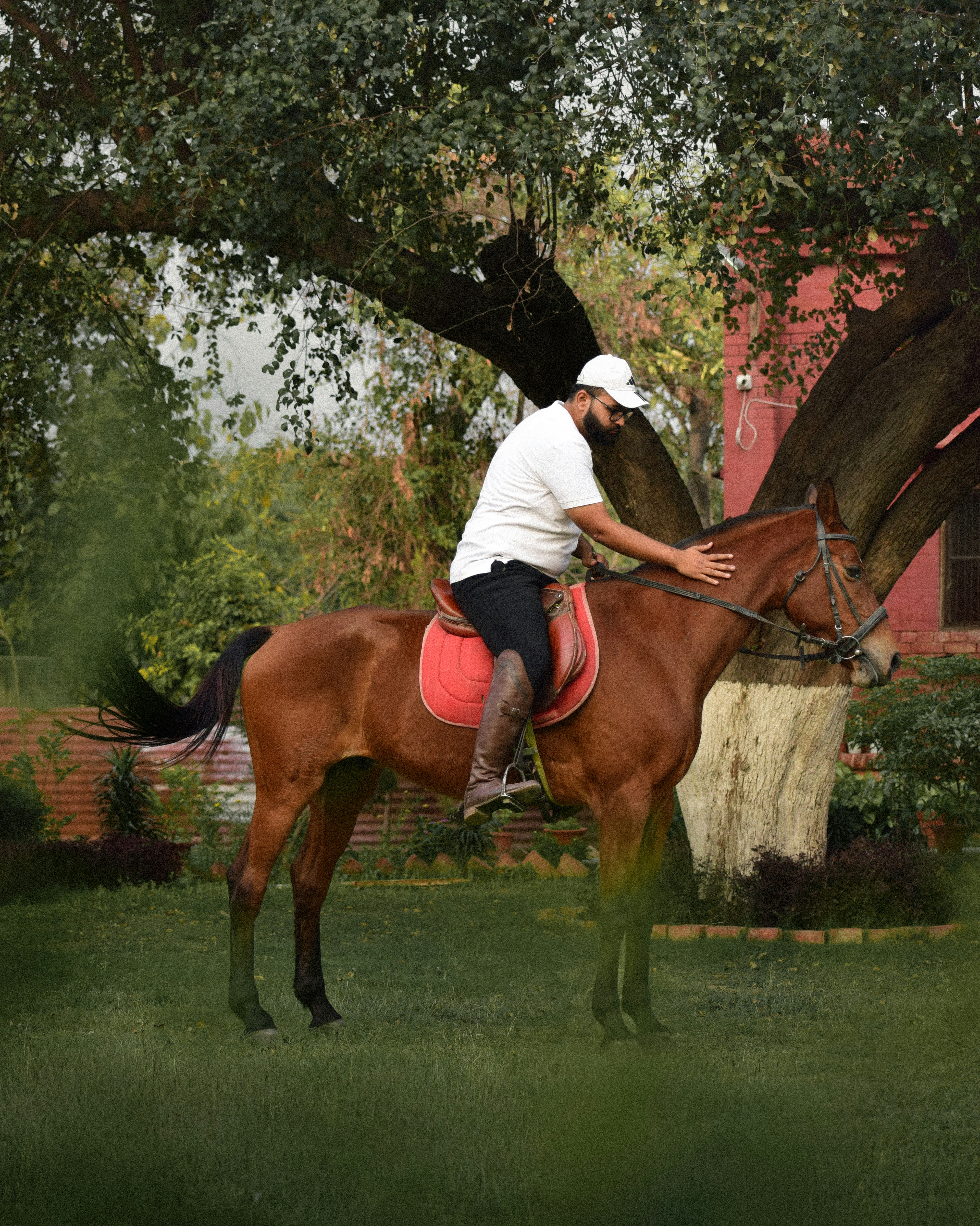 Rider and Horse Paused Under a Shady Tree