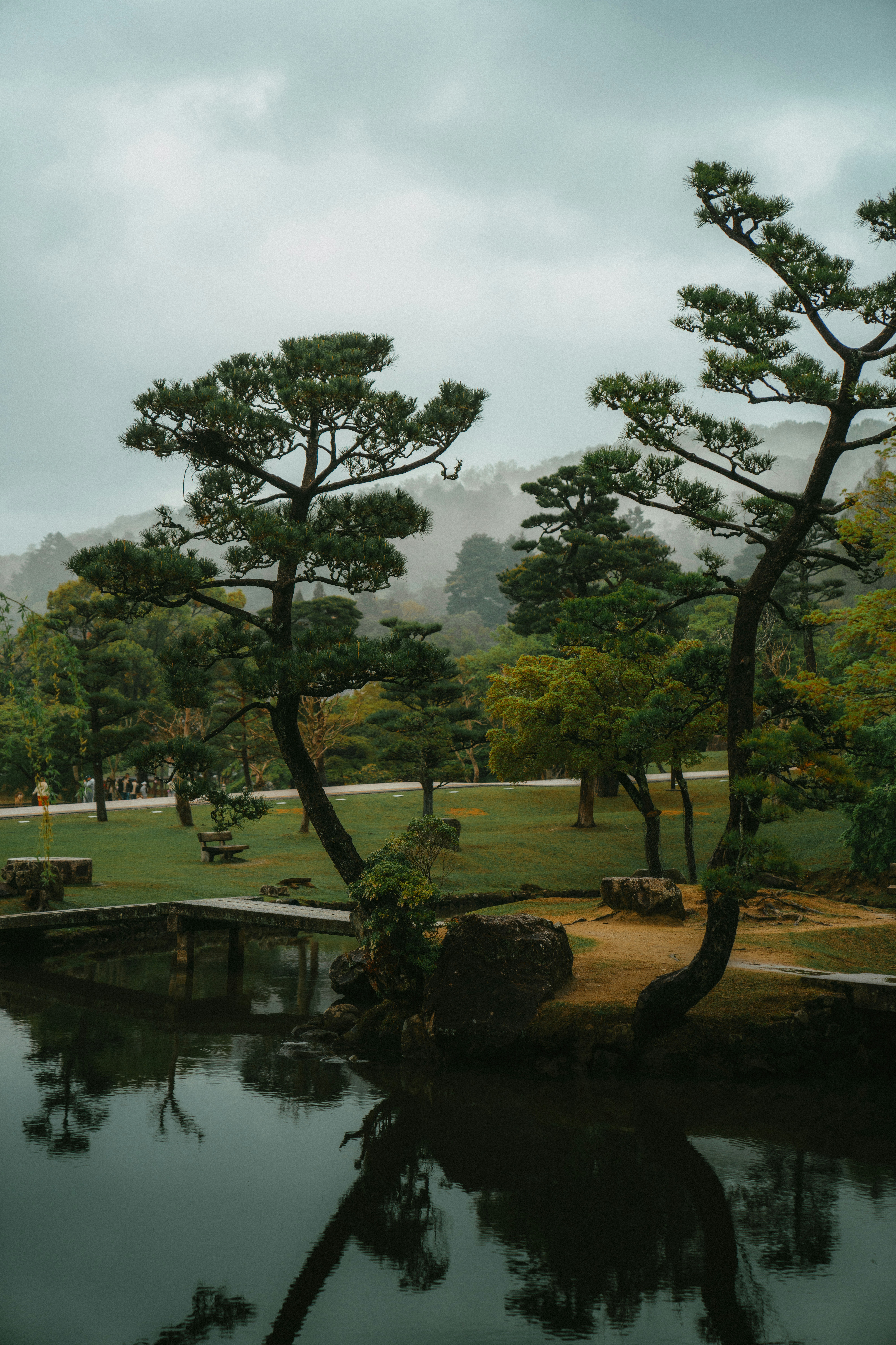 Whispering Pines by a Misty Lake