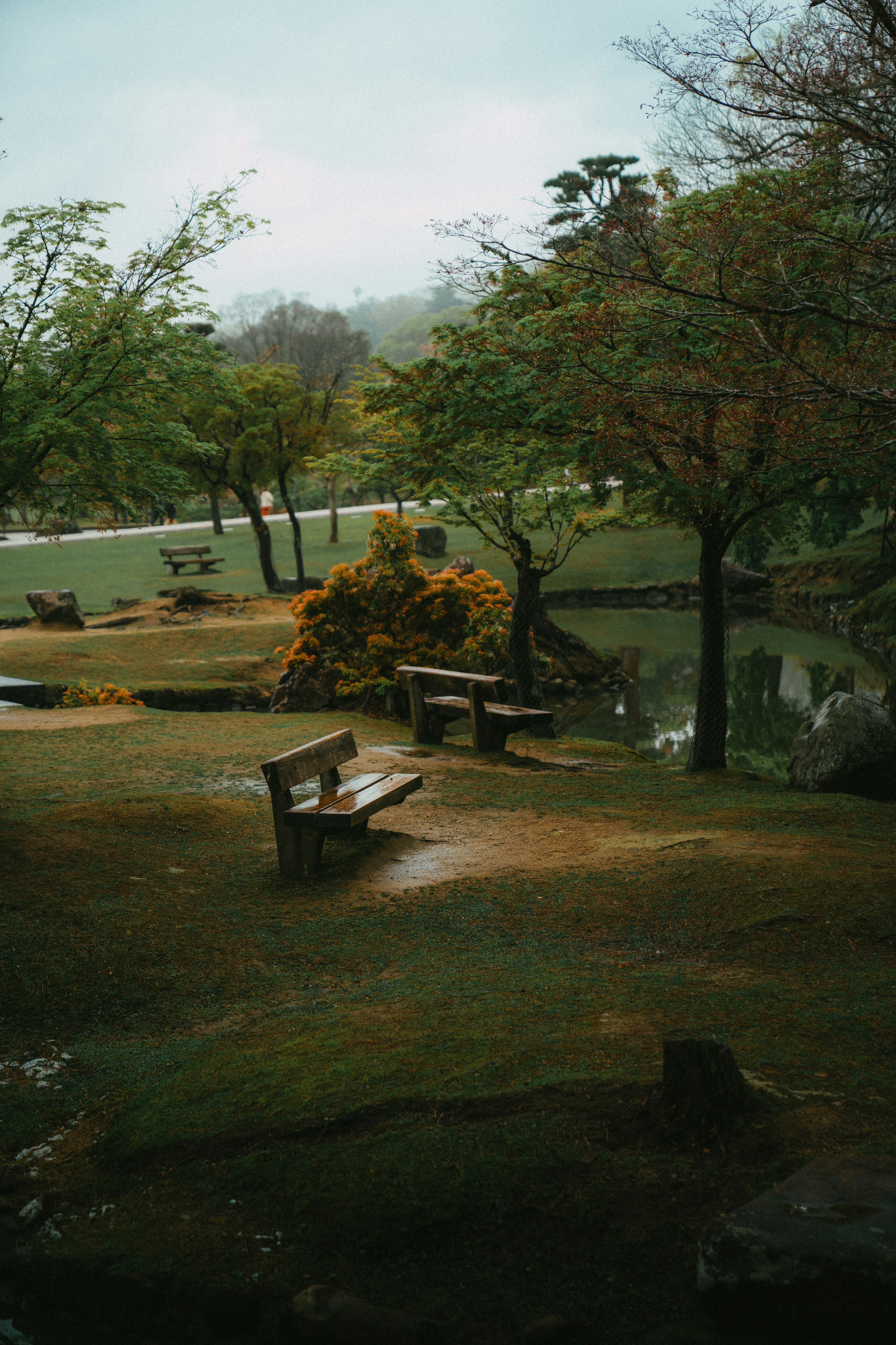 Tranquil park bench vignette under early autumn canopy