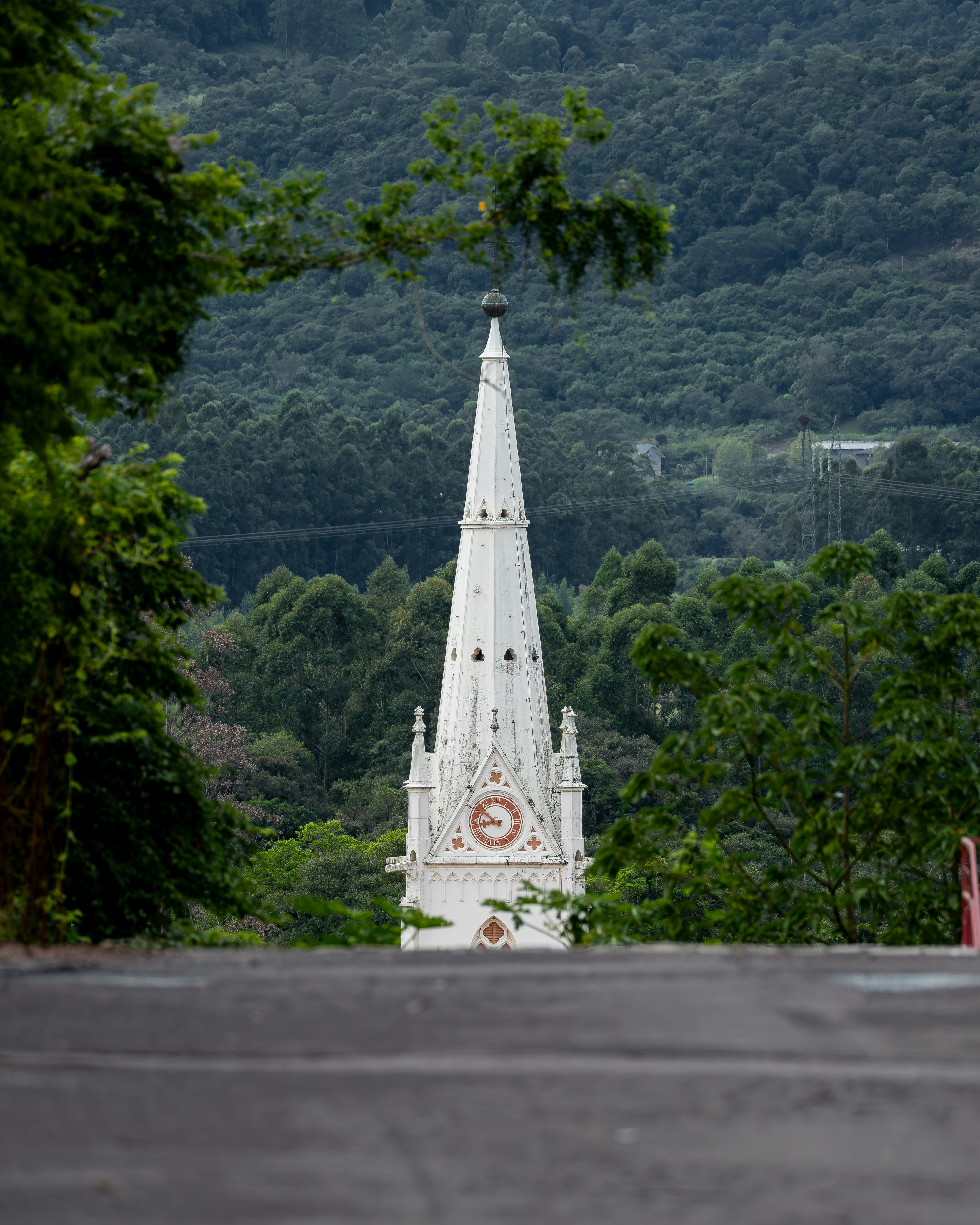 White church spire peeking through a green valley
