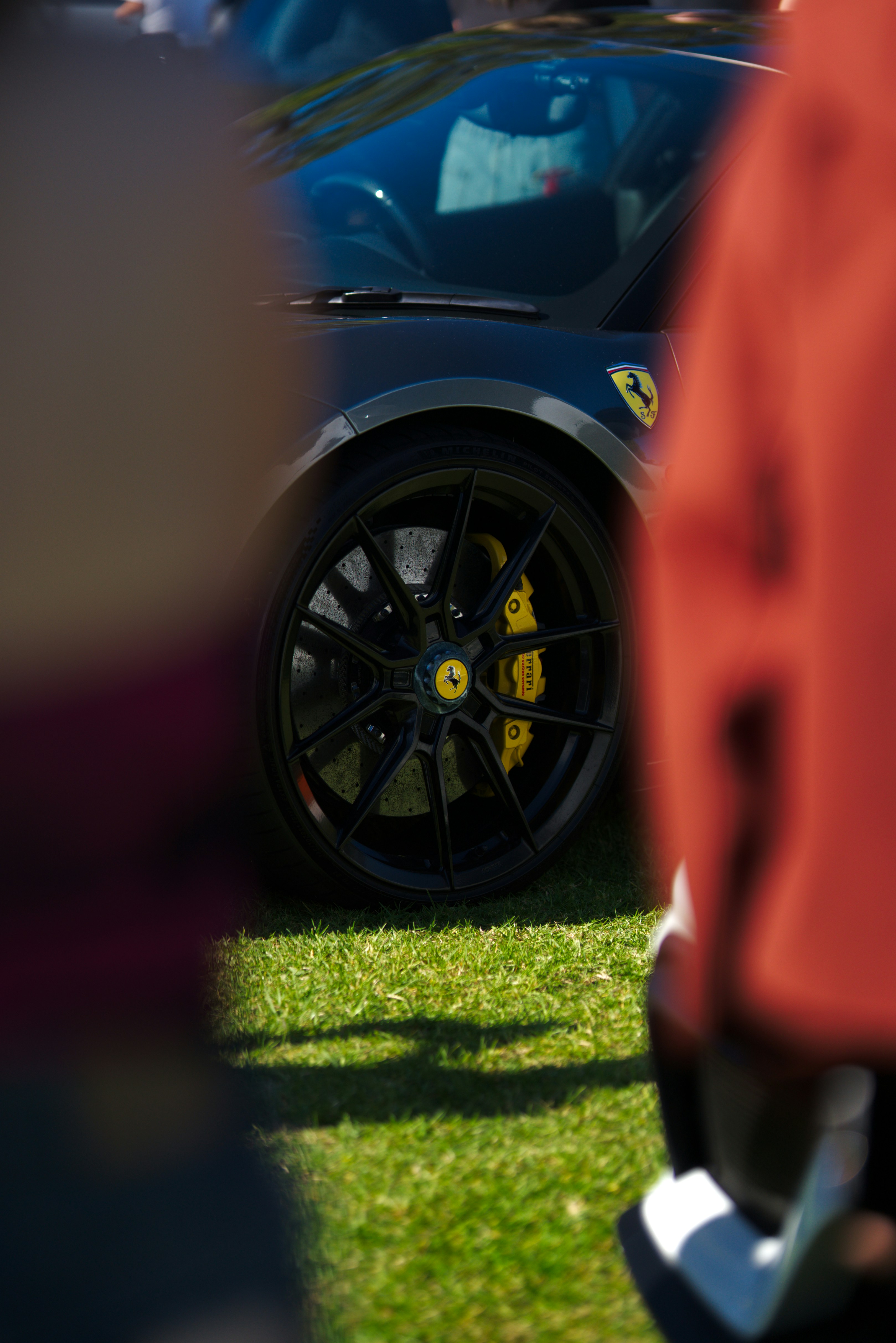 Ferrari Focus: The Car Between Blooms of Orange and Grass