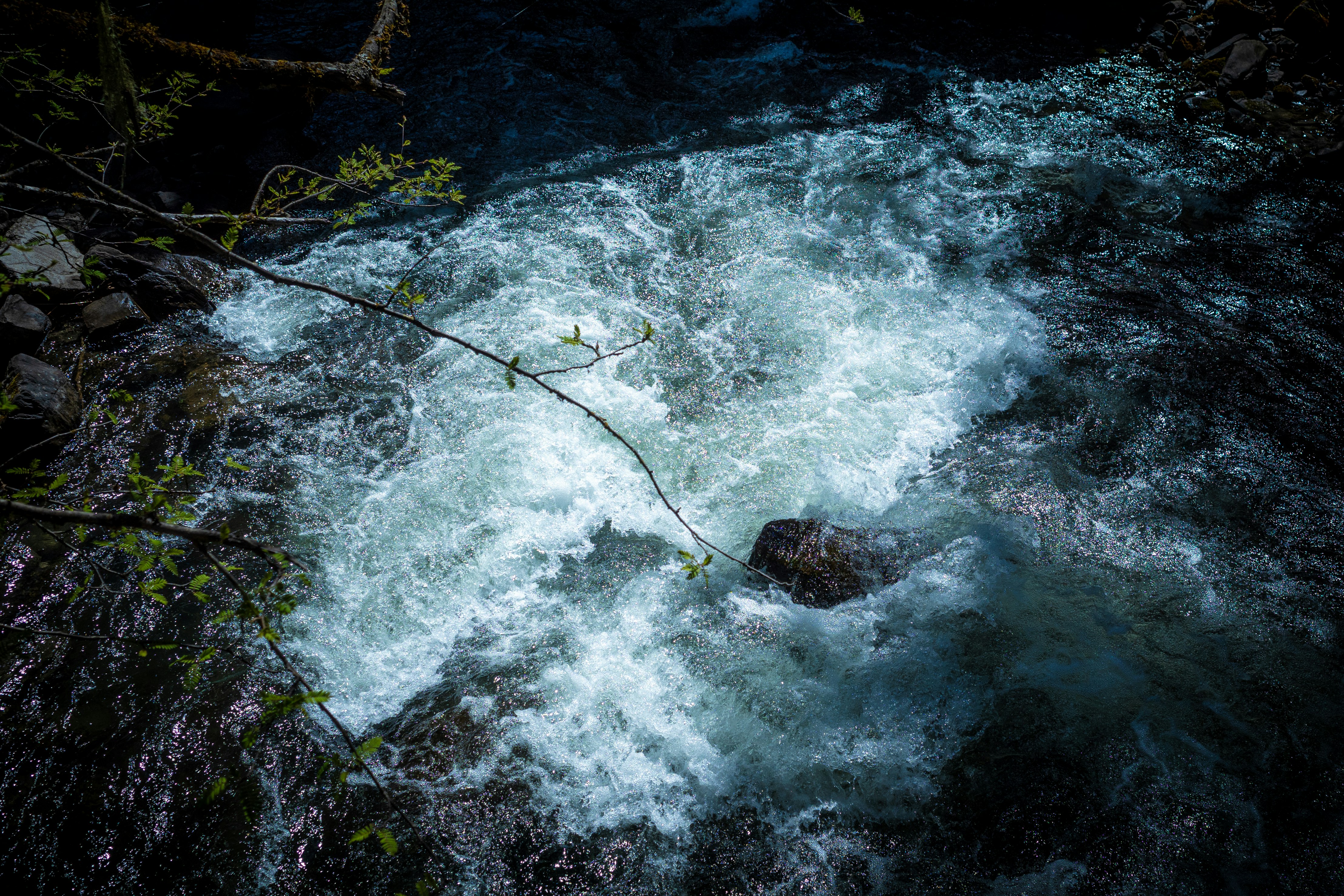 Rushing water flows over rocks in a forest stream.