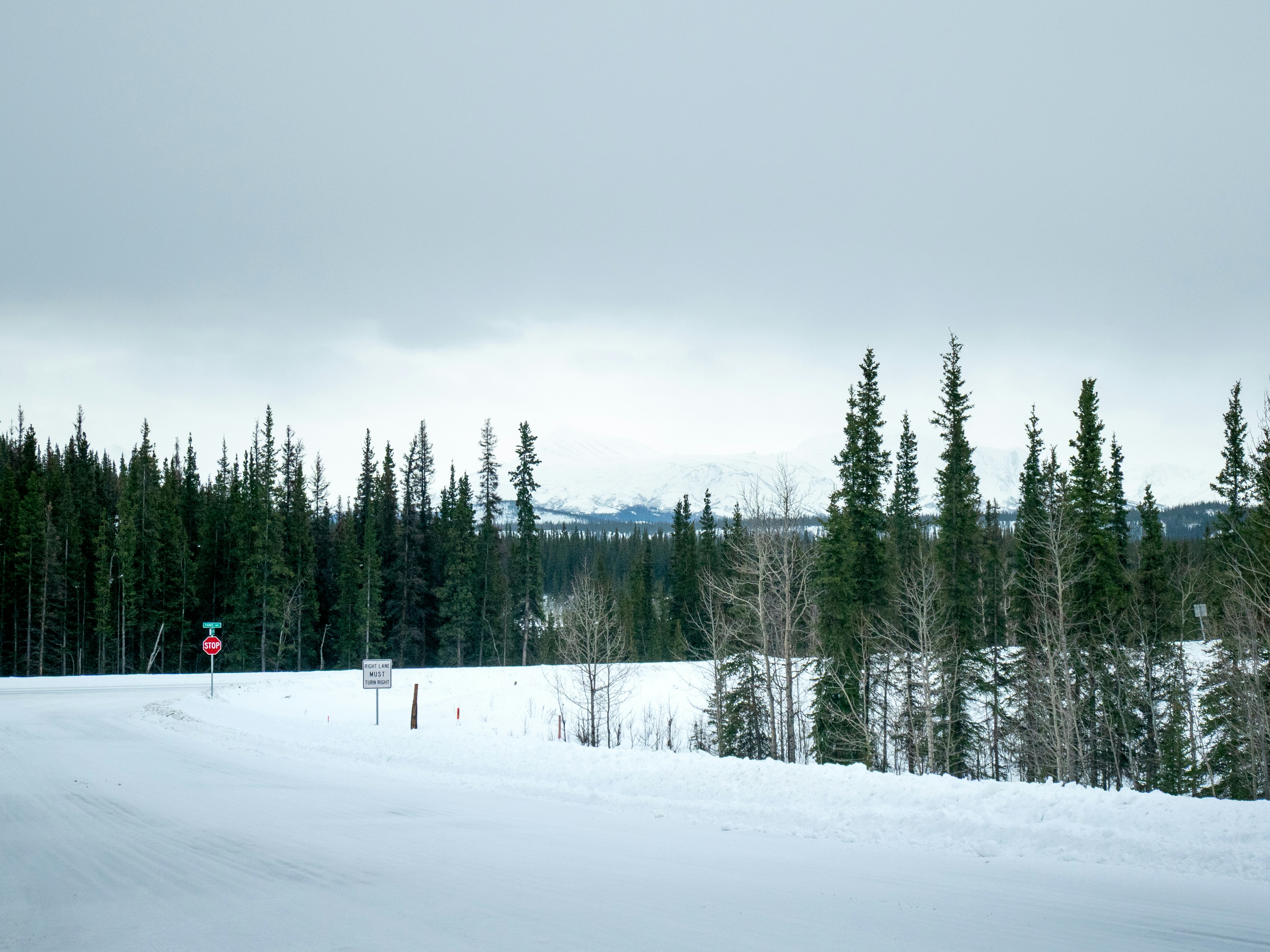 Snowbound Borderline: Quiet Road into the Pines