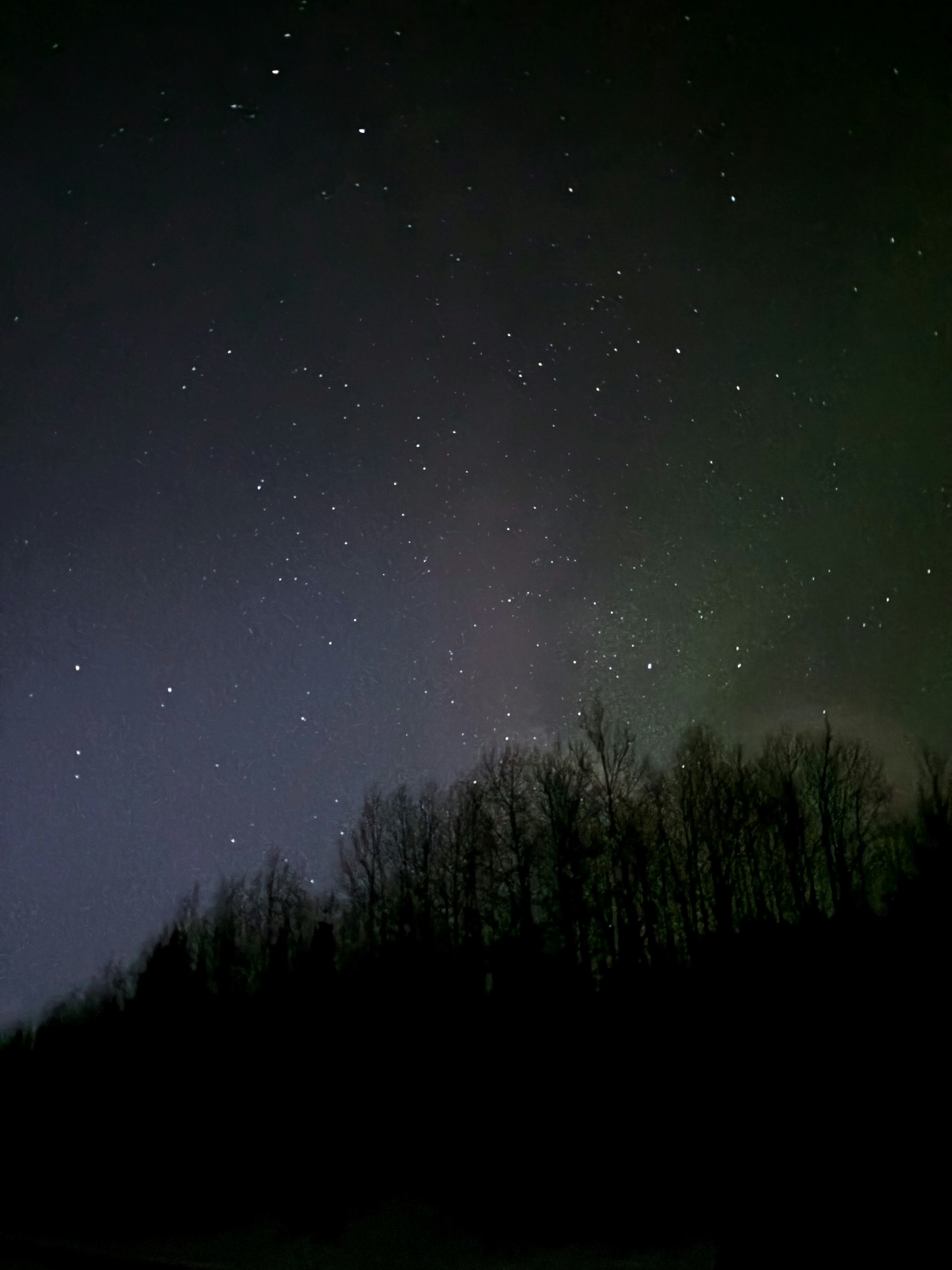 Night sky filled with stars above a silhouetted forest line, with subtle aurora-like bands near the horizon; a tranquil landscape capturing deep space ambience.
