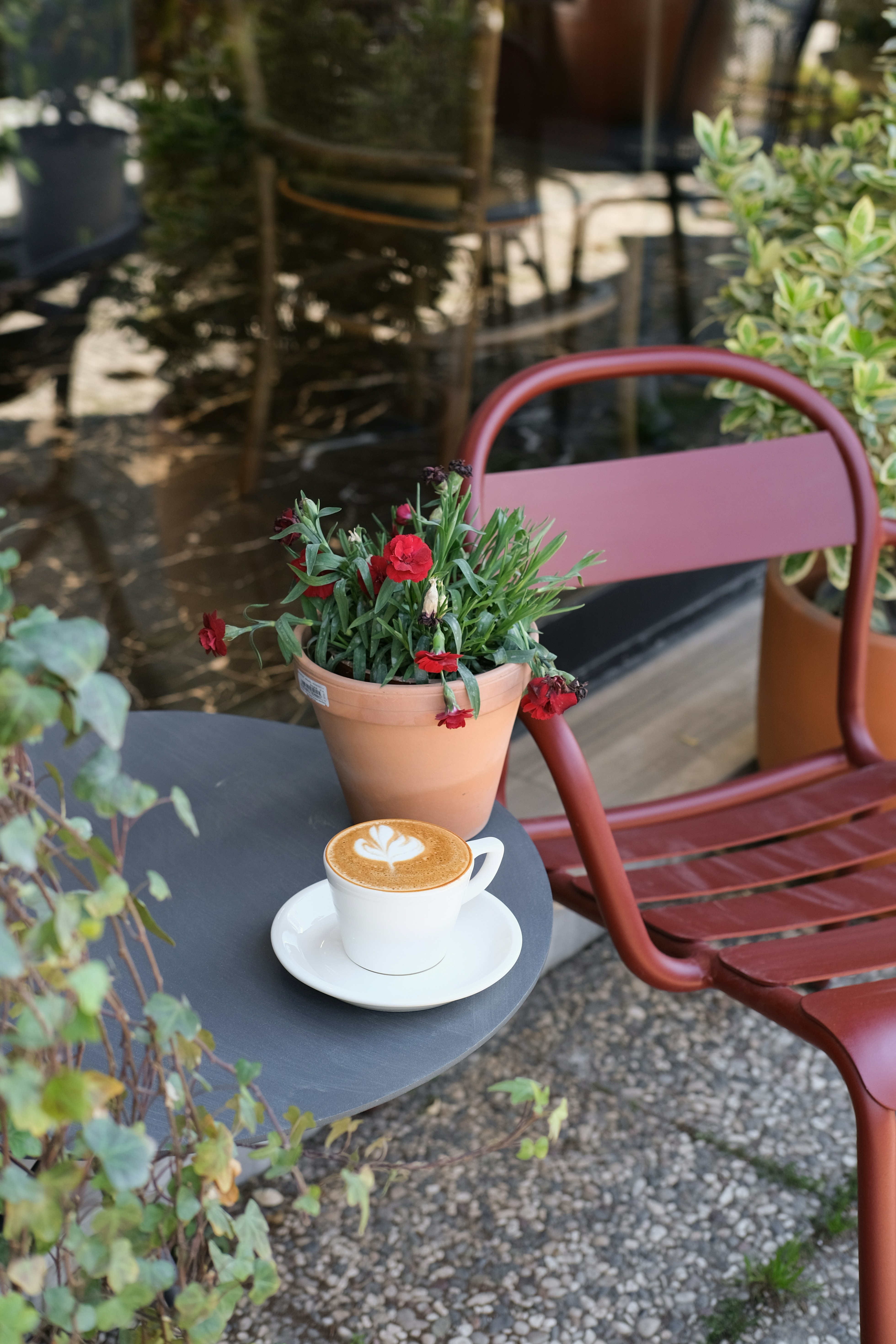 Coffee and Carnations on a Sunlit Cafe Table