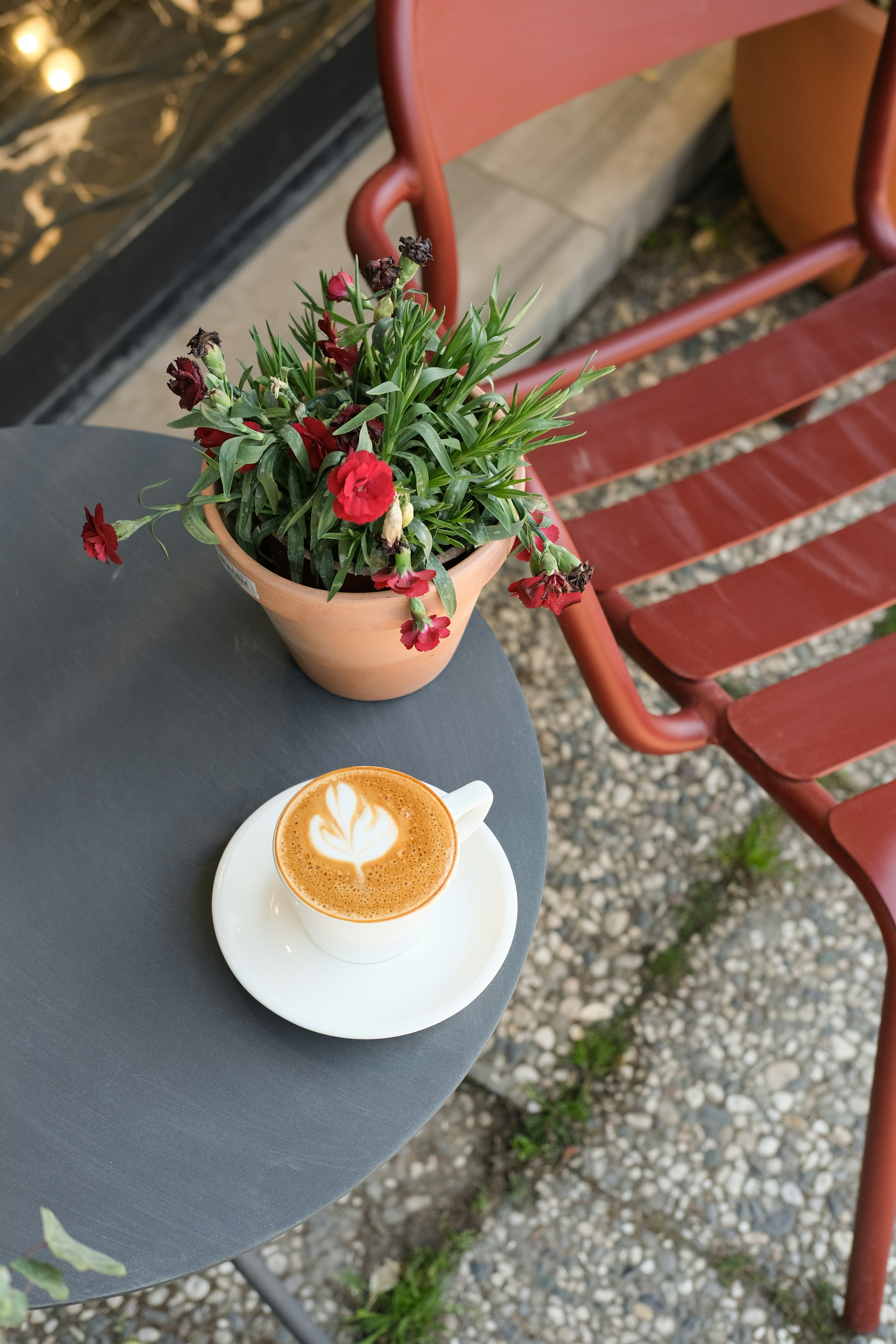 Cafe Corner: A Pot of Blooms and a Cup of Warmth