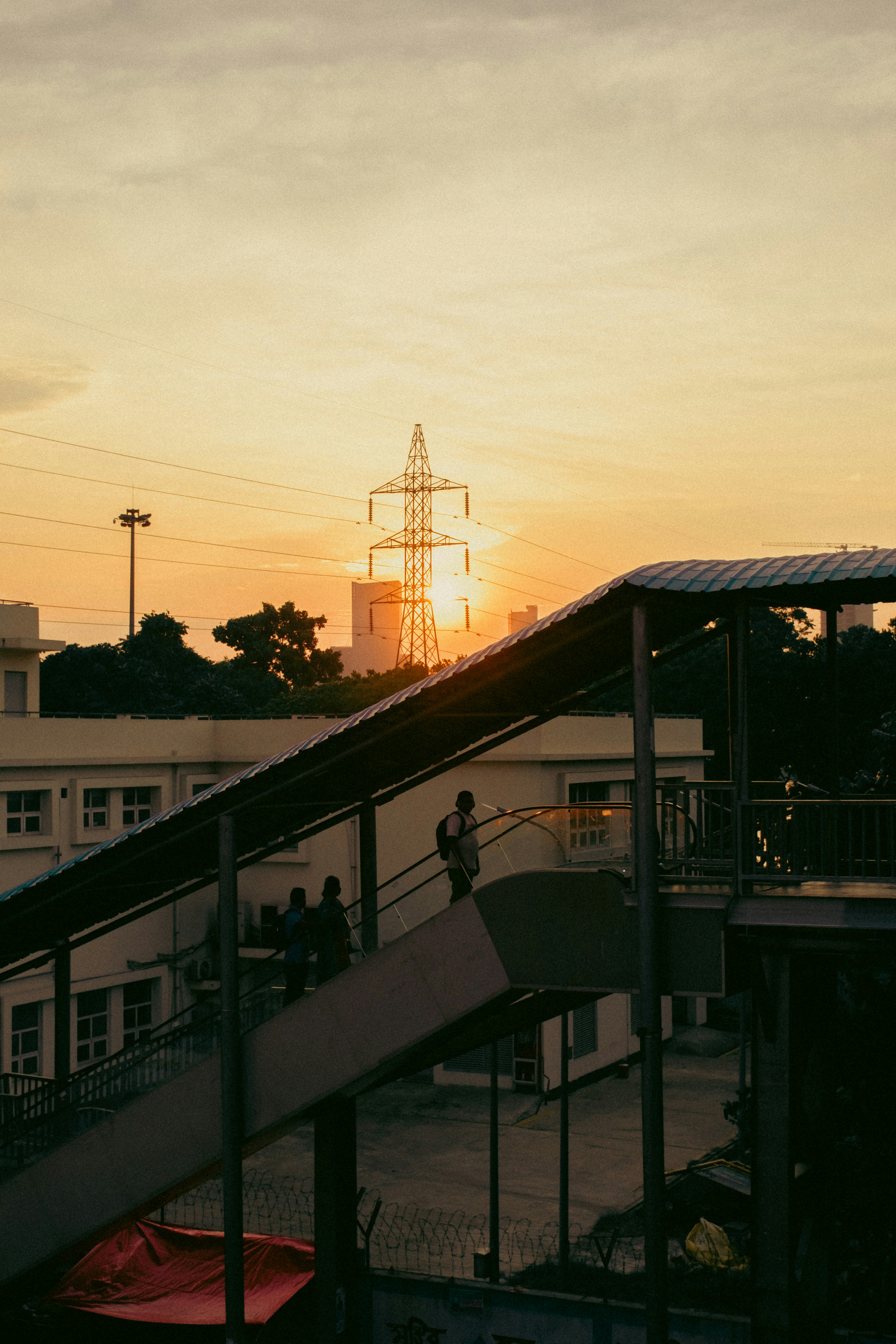 Sunset Over the Walkway: A Quiet Campus Moment