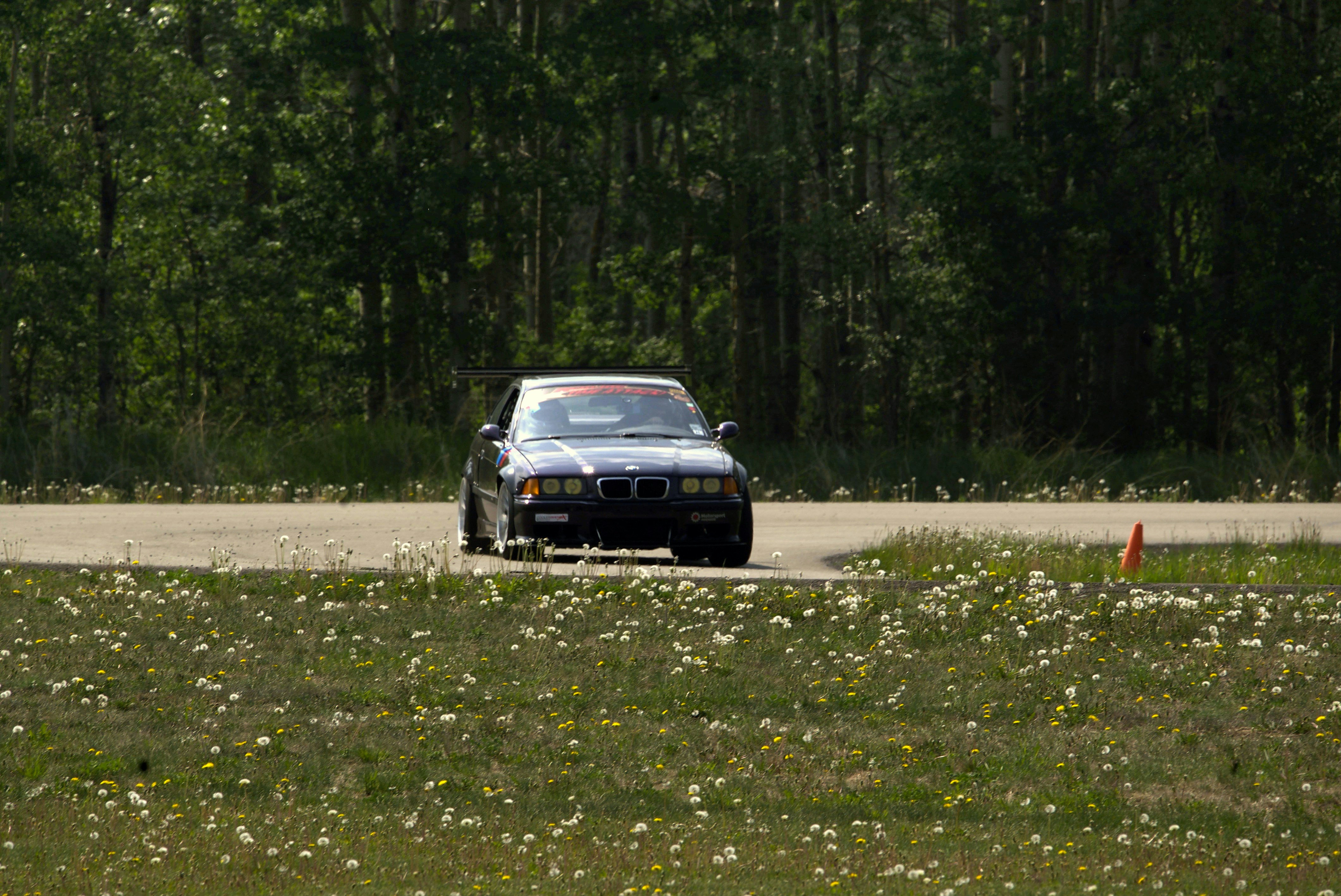 BMW on a sunlit track: a lone car cutting through a meadow-strewn course