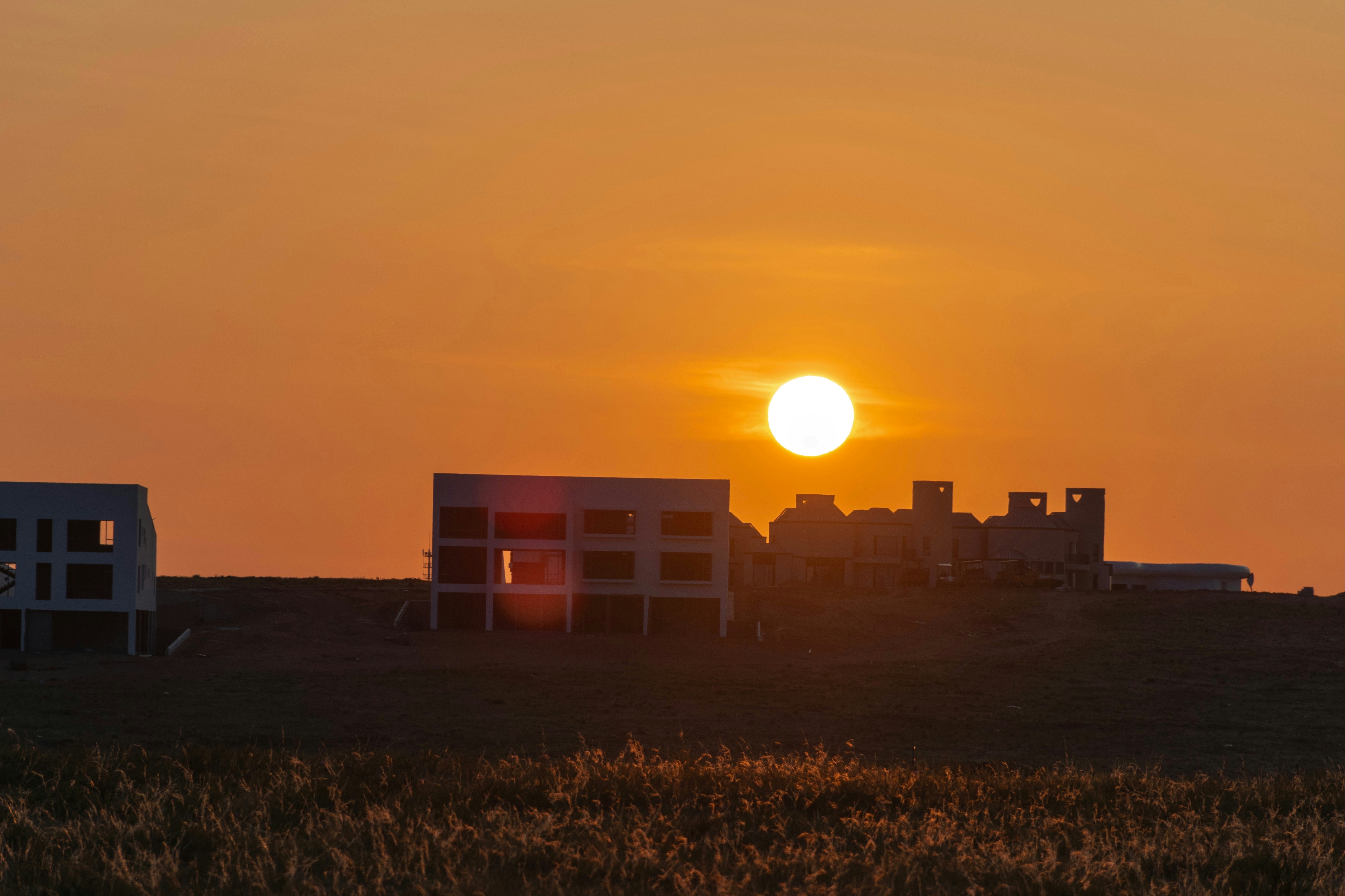 Sunset Silhouettes Over Low-Ritual Suburban Horizon