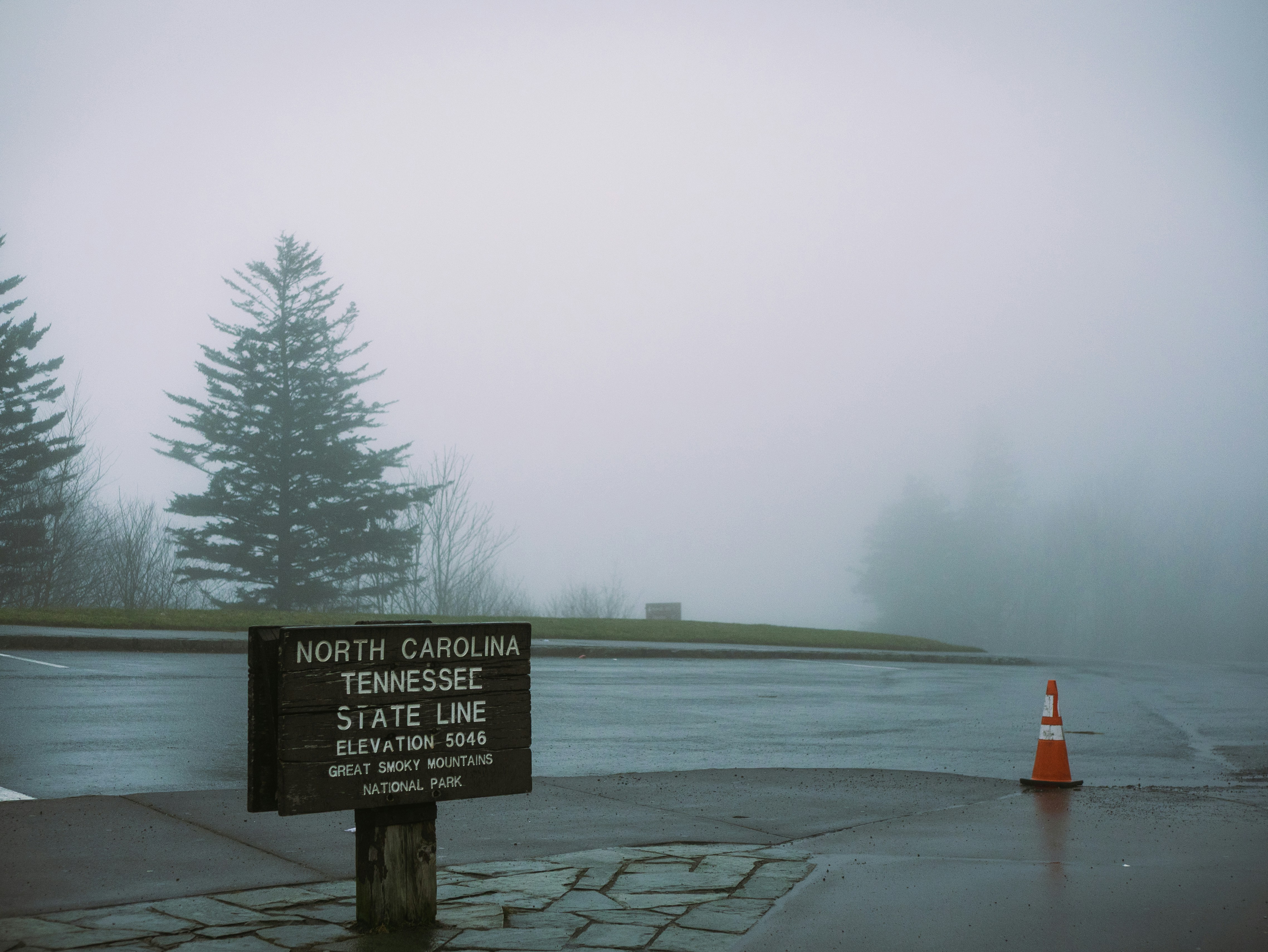 Fog-Soaked Border: Traffic Cone and Sign in Quiet Mist