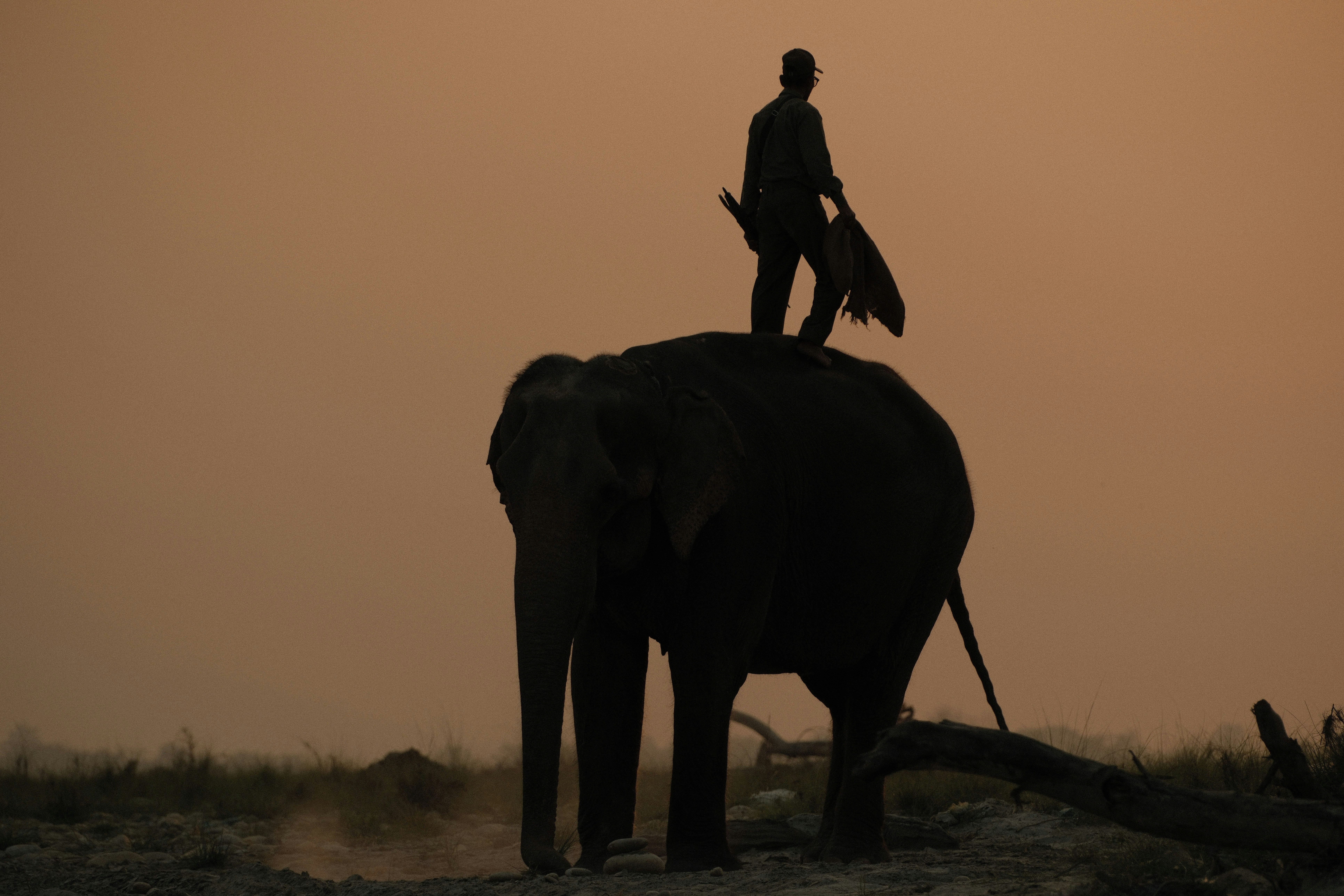 Silhouette Riser: A Rider and Elephant Against a Sunset Silence