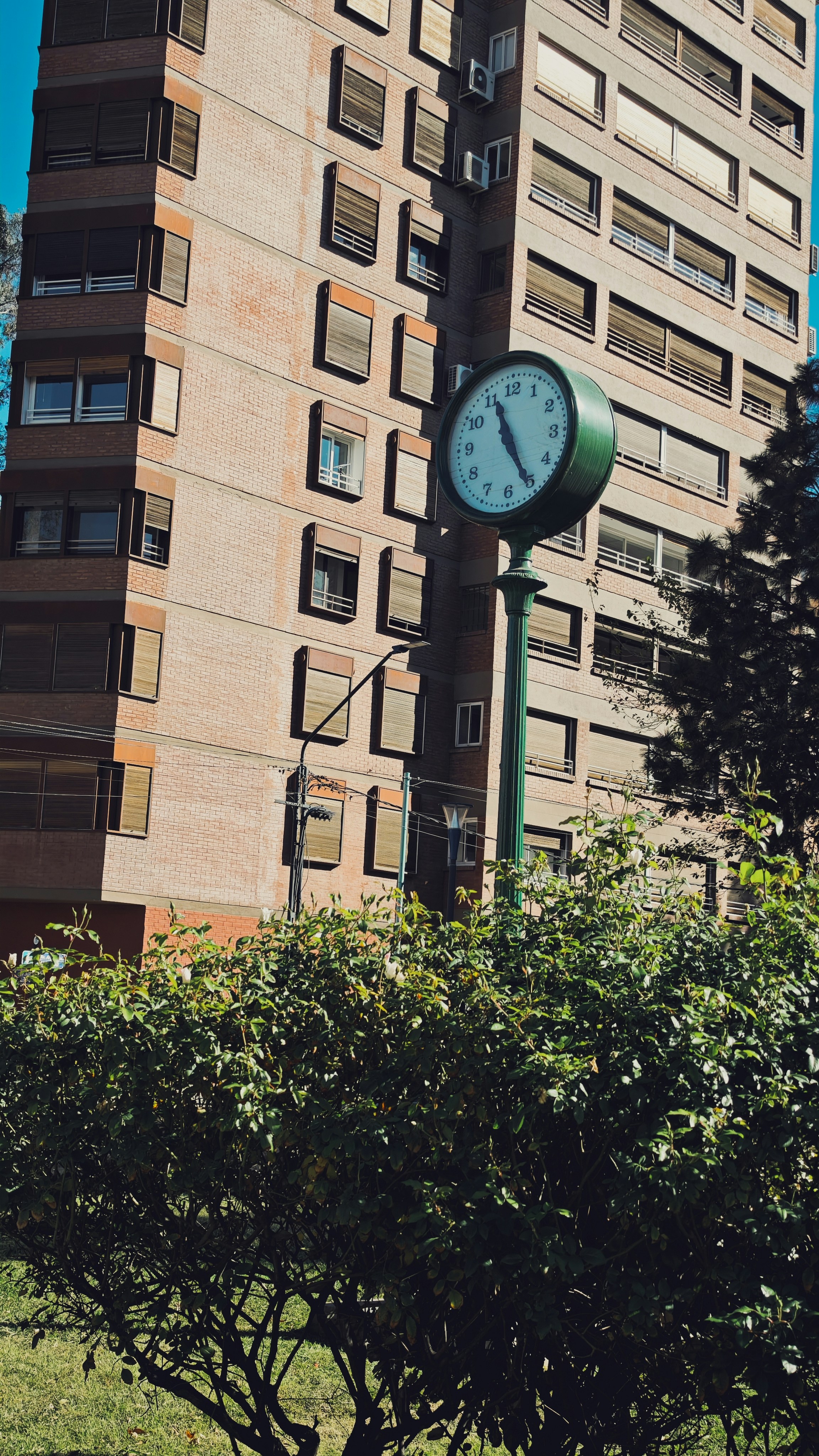 Clock in the Crest: A Green Timekeeper Against Urban Brick