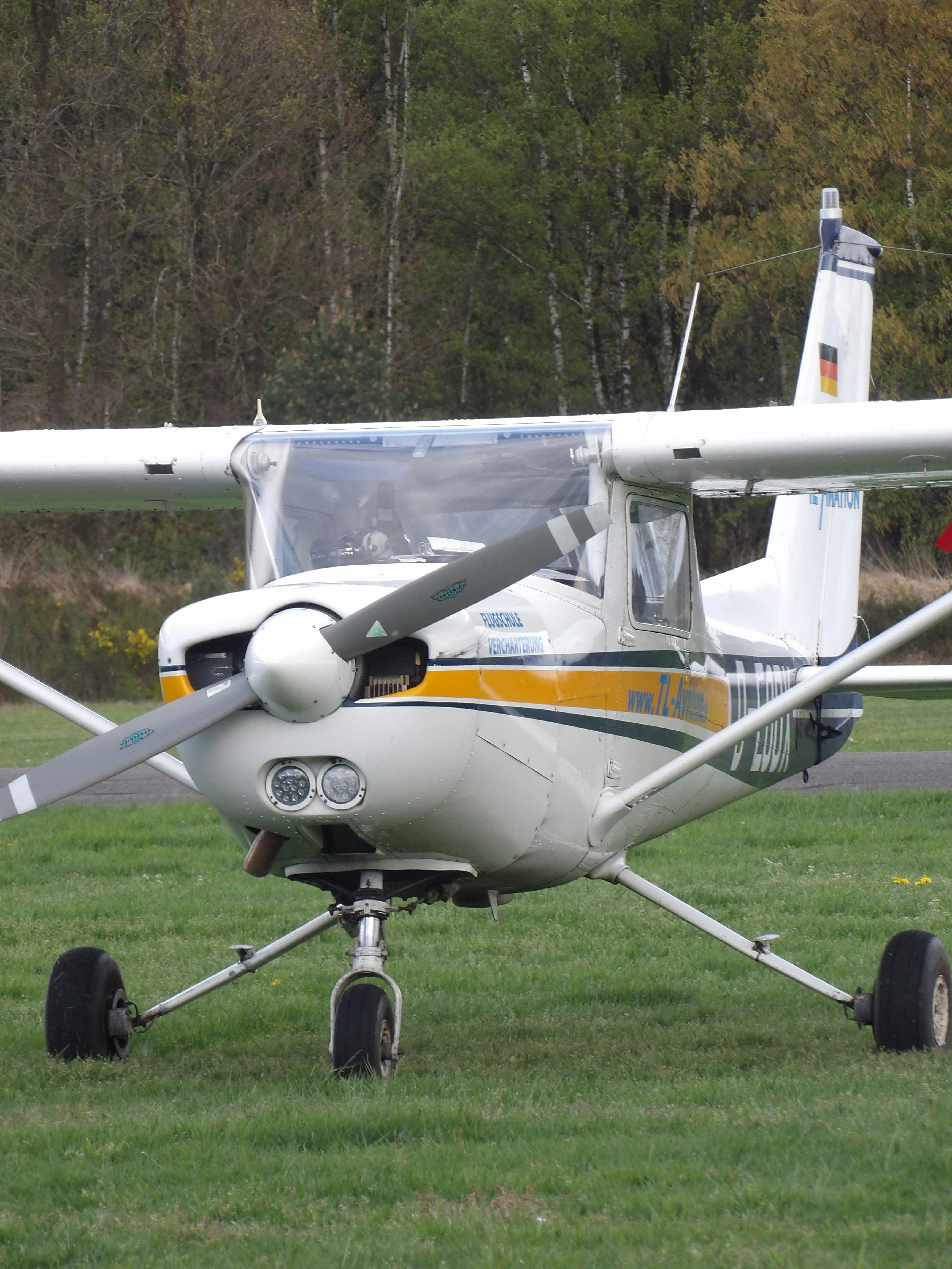 Front-Row View: Small Aircraft on a Grass Field