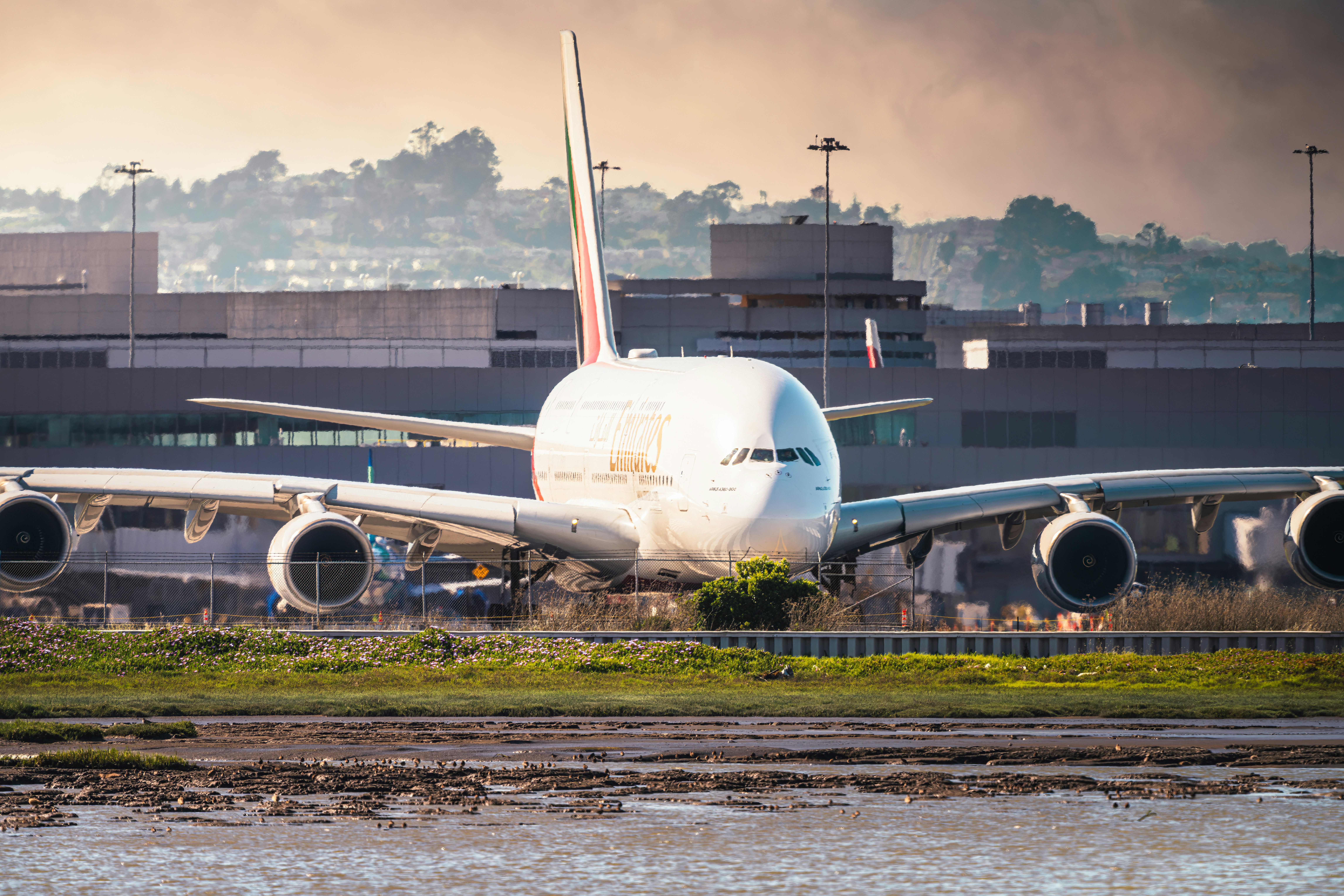 Front-on Jet Portrait: The Mighty Narrow-Body at Dawn