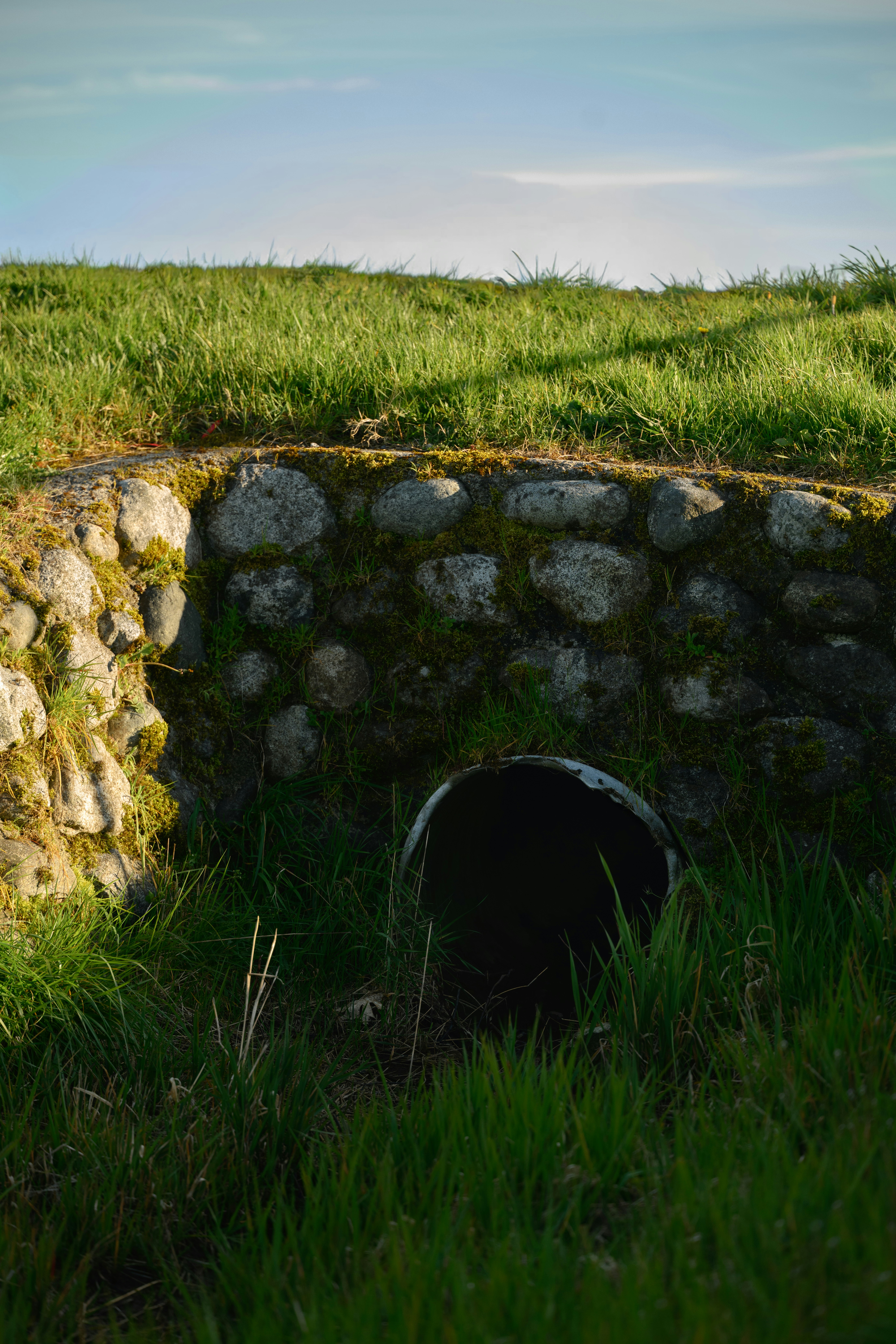 Hidden Tunnel: Mossy Stone Wall and Dark Culvert Emerging from Grass