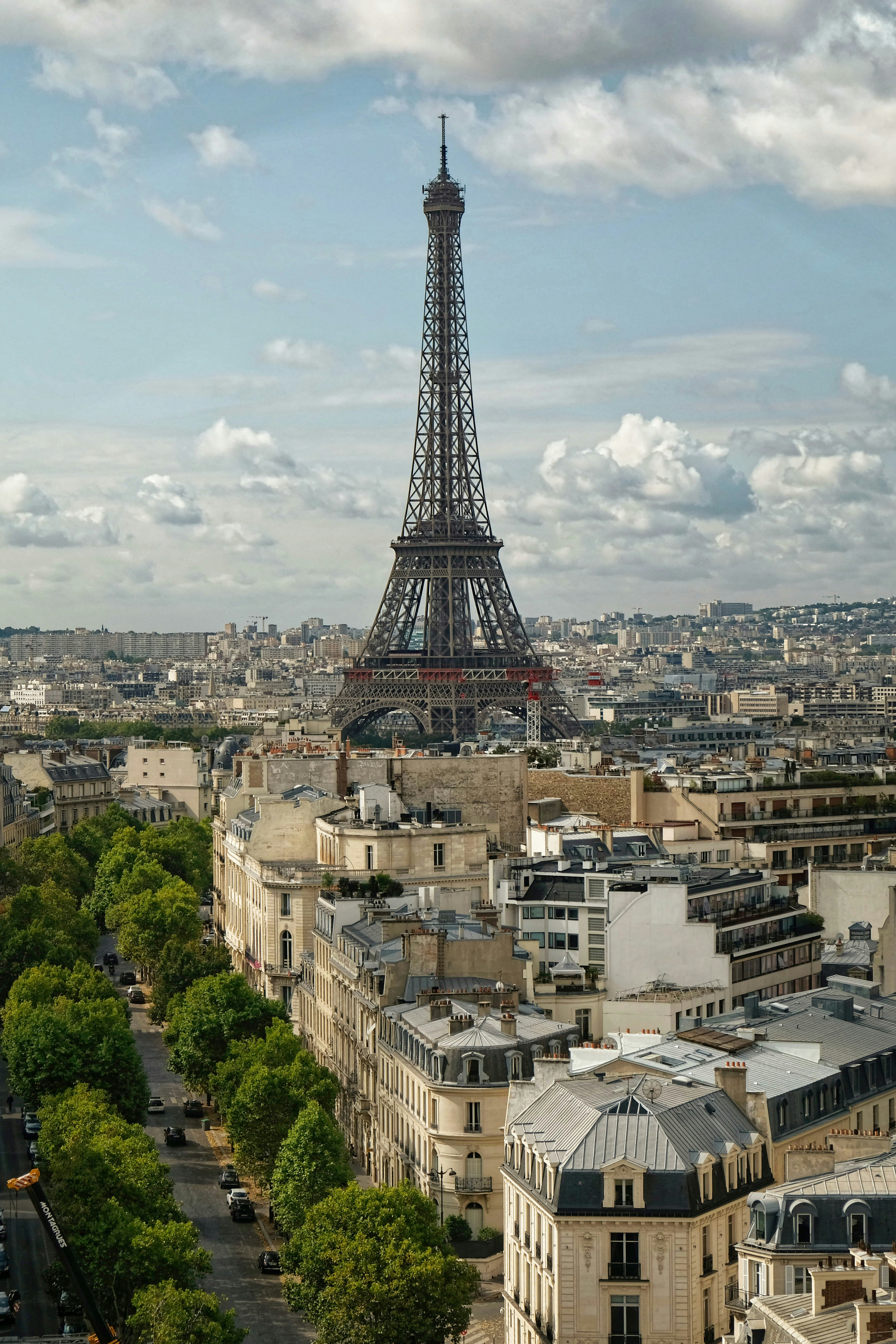 Paris in Focus: The Eiffel Tower Rising Above a Quiet Rooftop Jungle