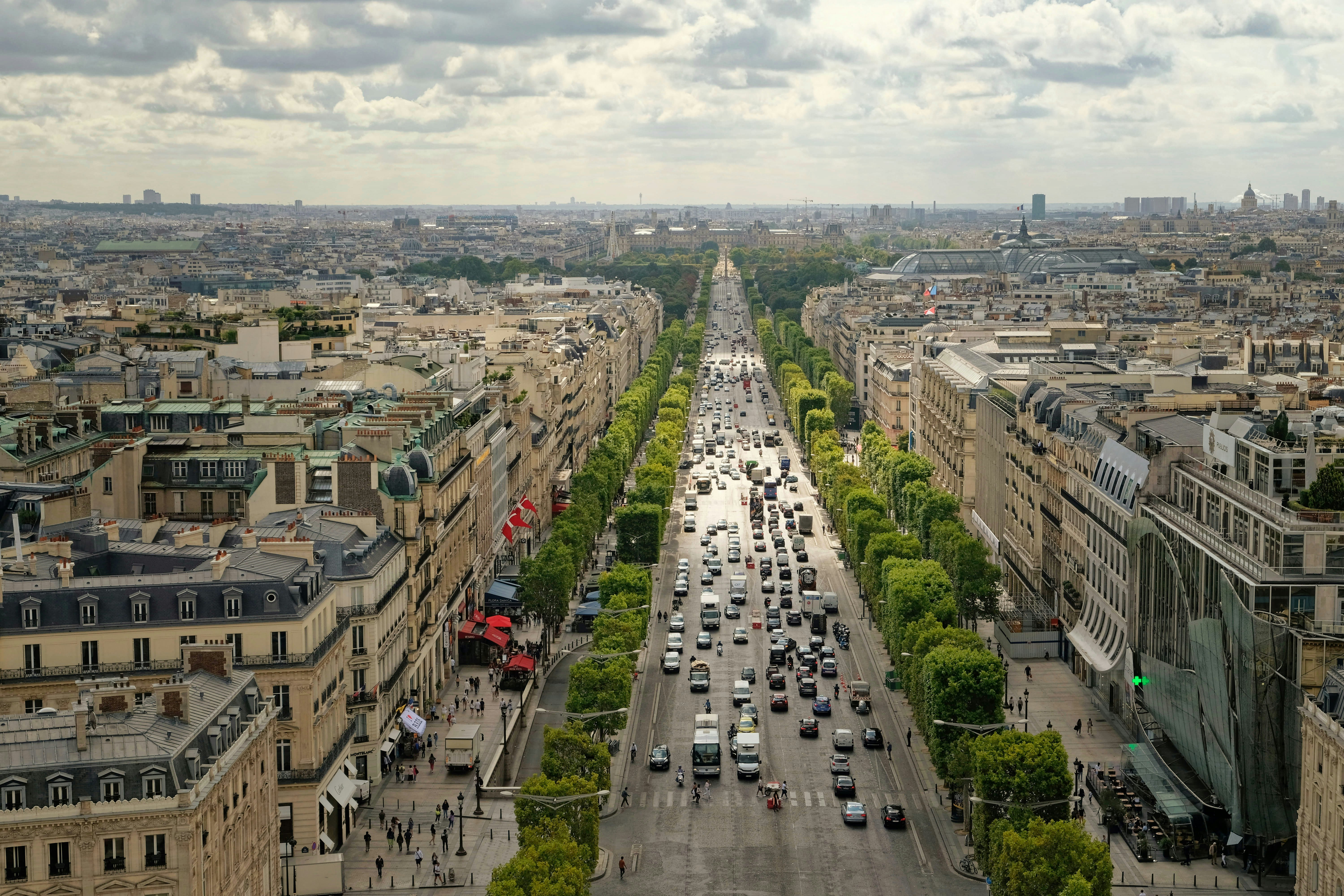 Alesia Boulevard: Symmetry of Traffic and Trees