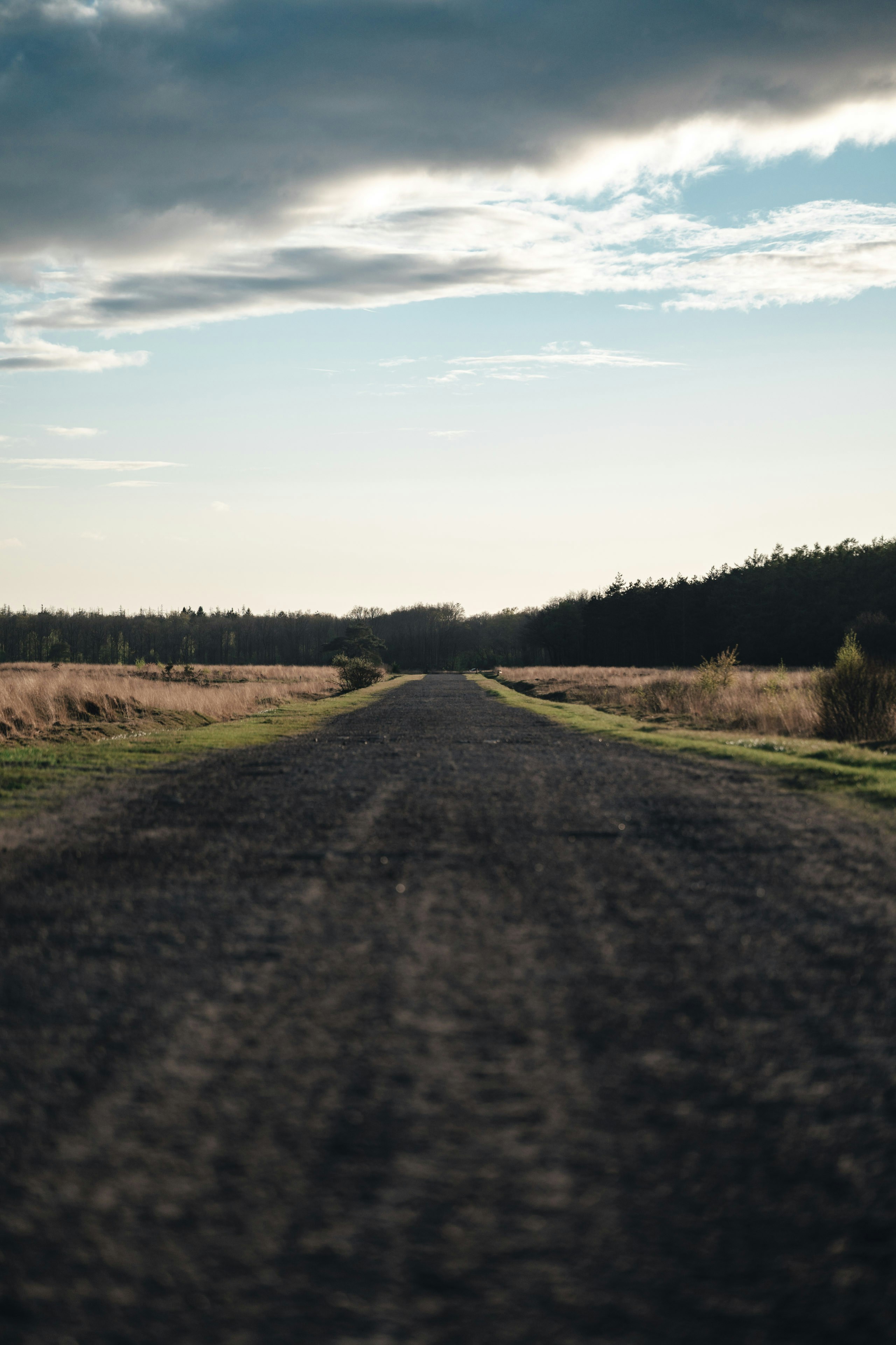 Road to the Quiet Horizon