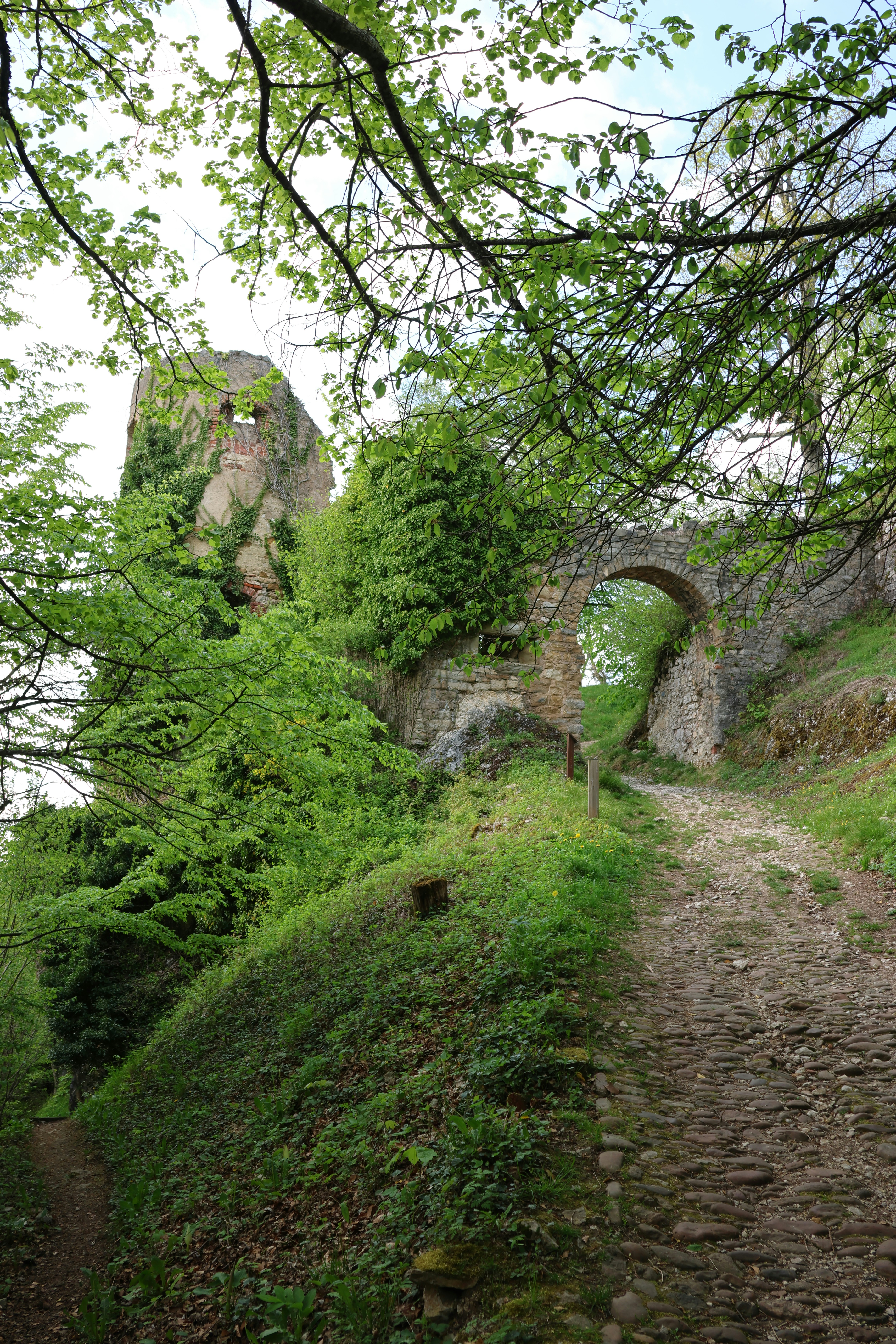 Gate of green cliffs: an ancient ruin framed by a forest path