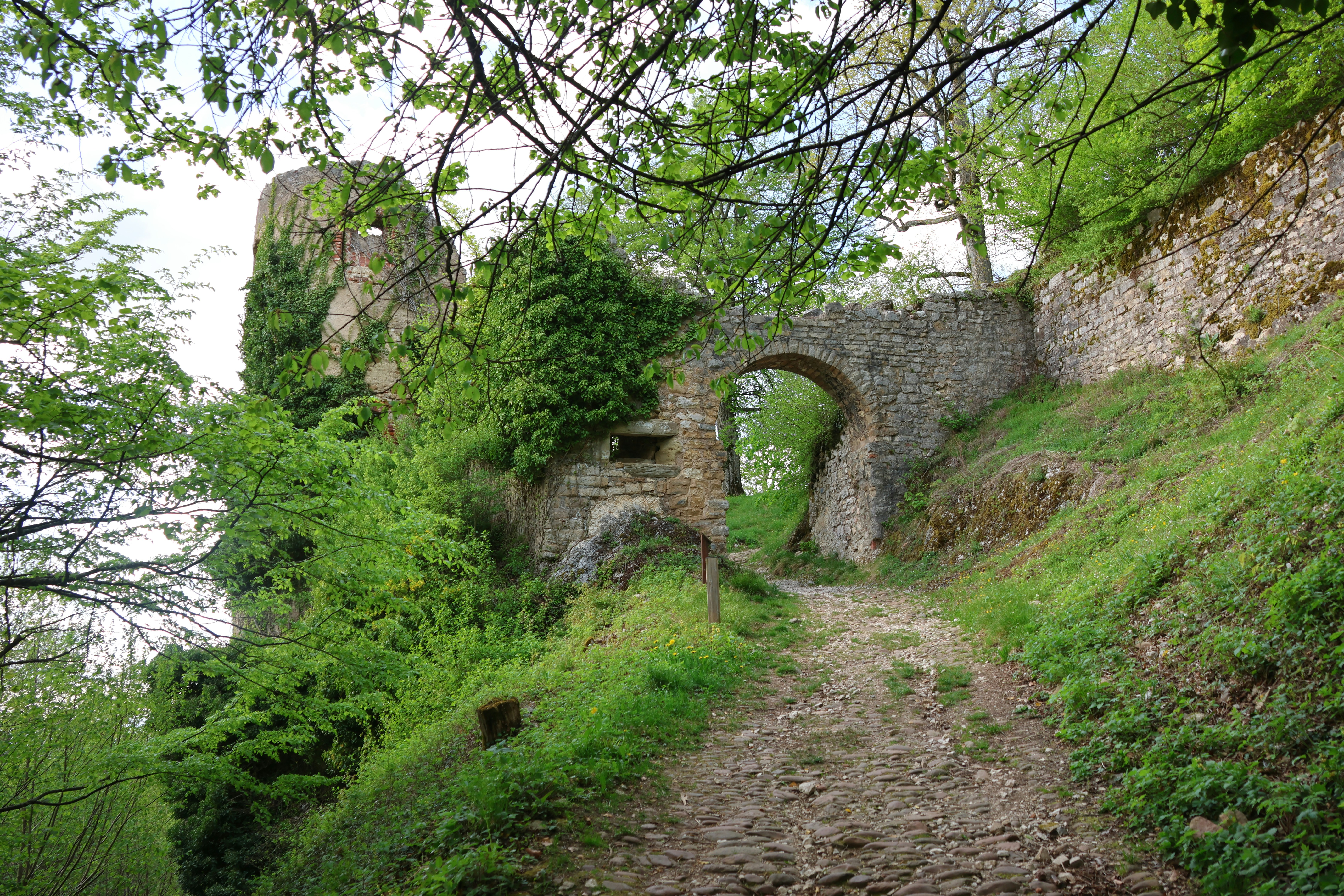 Ancient Archway Overgrown on a Scenic Cliff Path