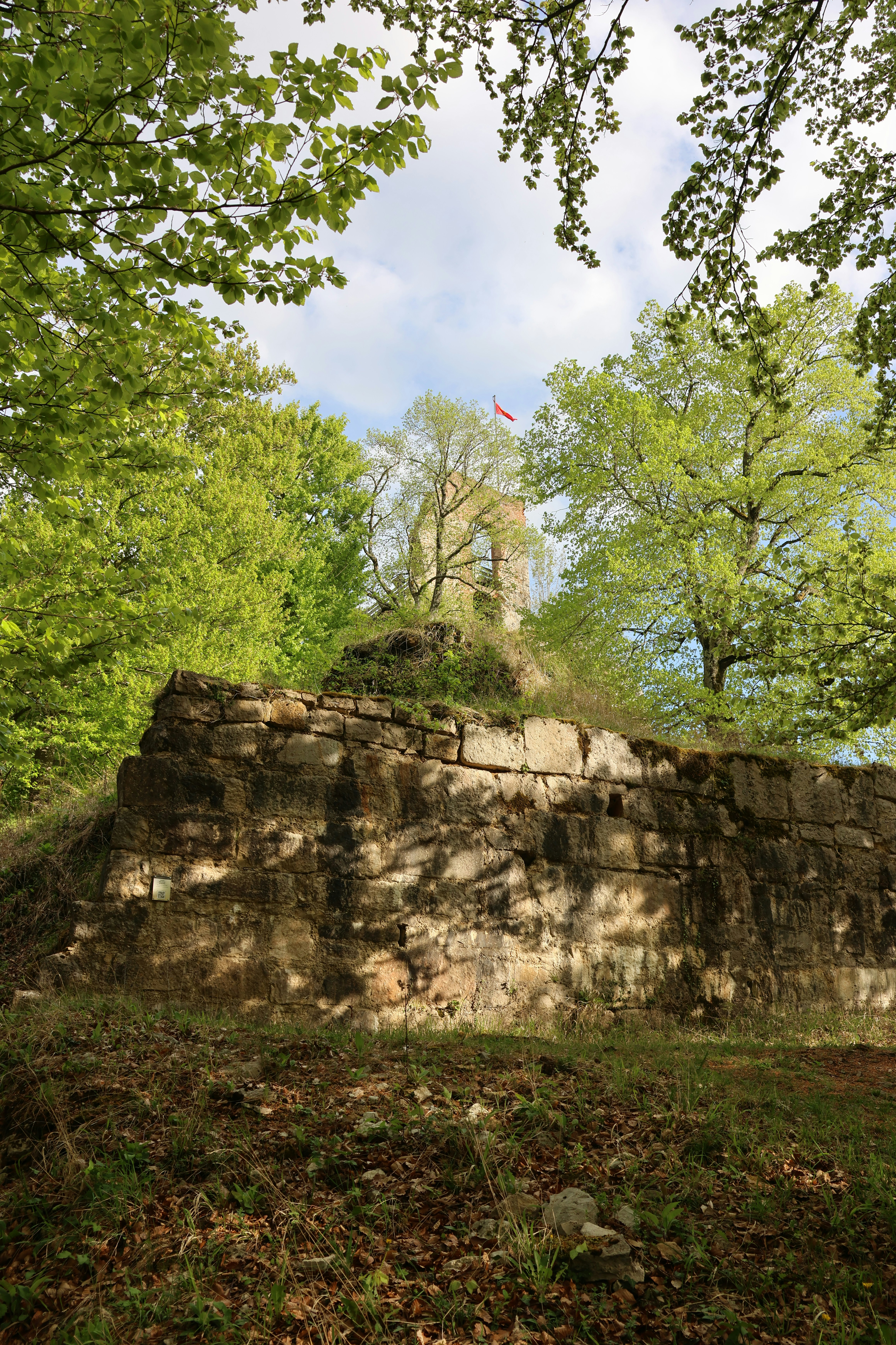 Ancient Wall, Quiet Canopy: A Towering Remnant Beyond Springgreen Foliage