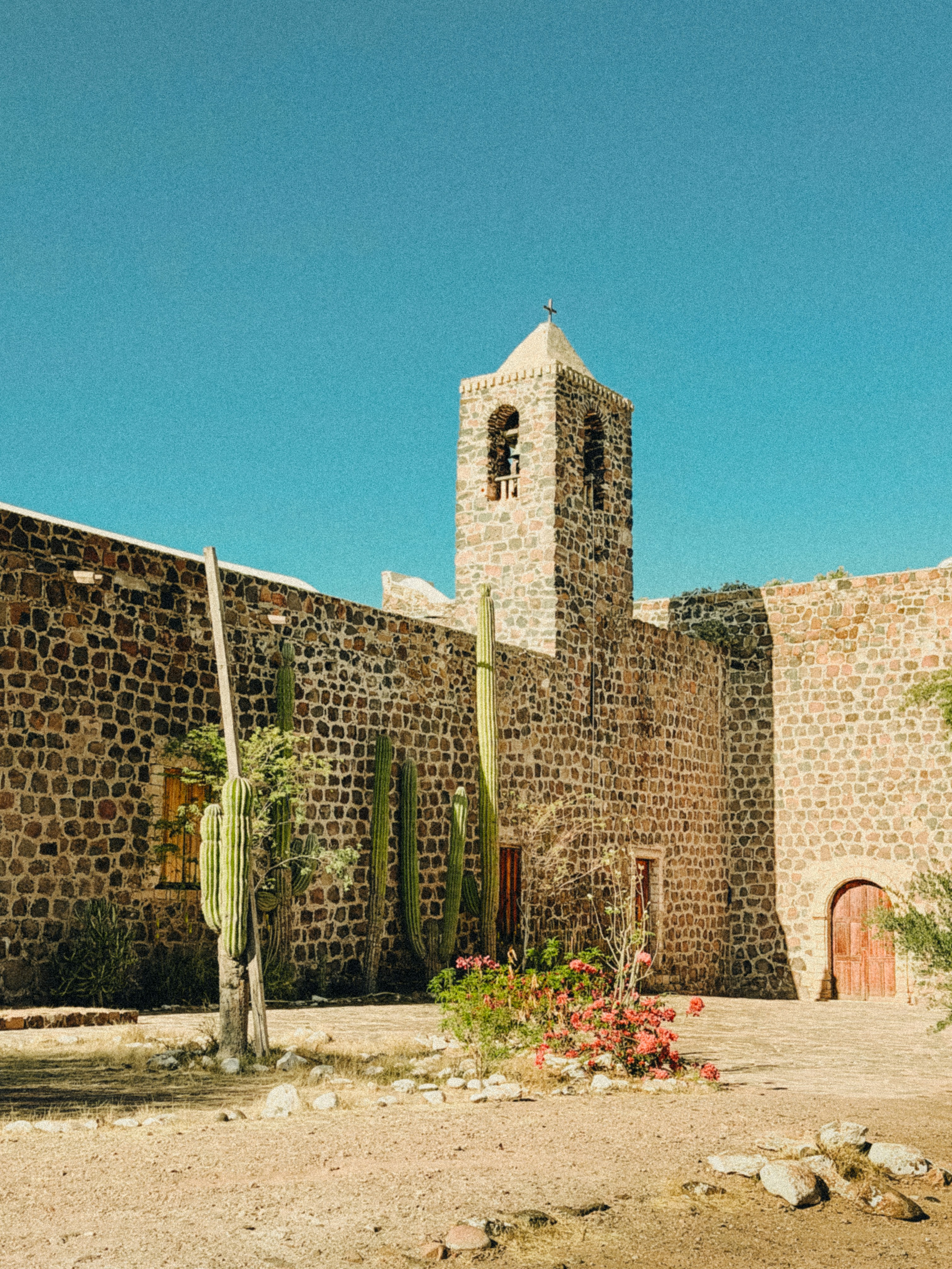 Cobbled Fortress Sun and Cactus in Desert Light