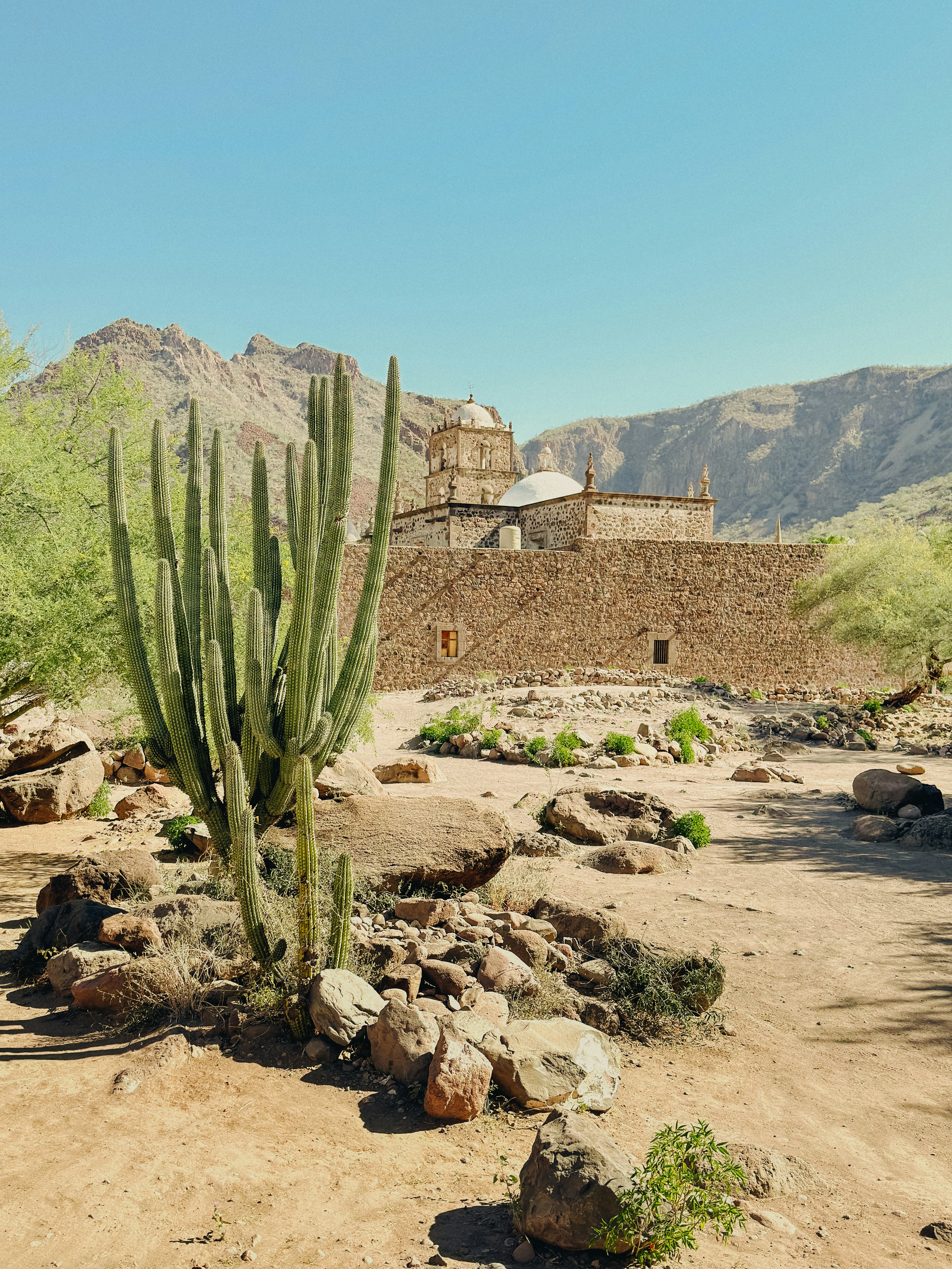 Desert Fortress and Cactus Sentinel