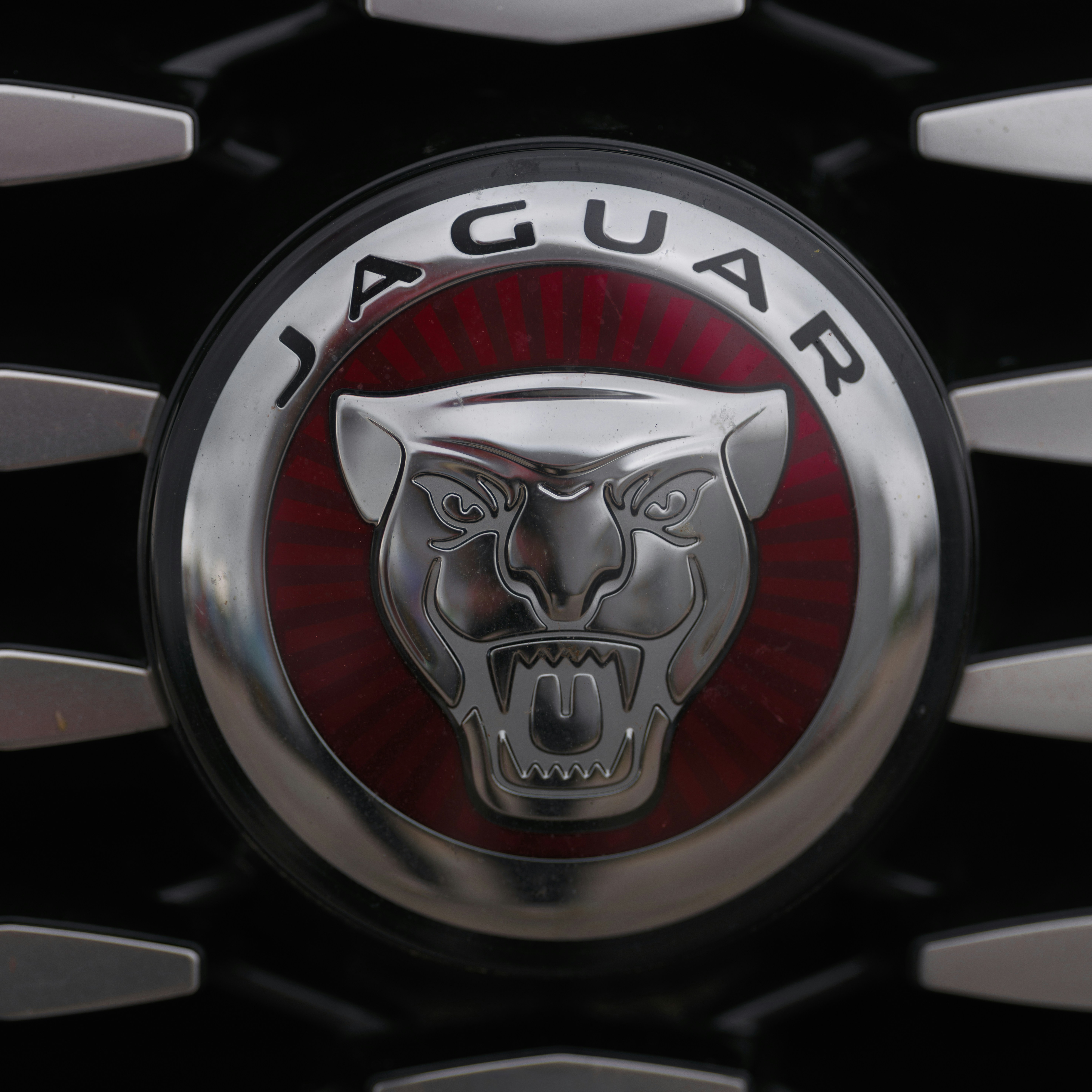 Tiger Emblem in Chrome: Jaguar Grill Emblem Close-Up