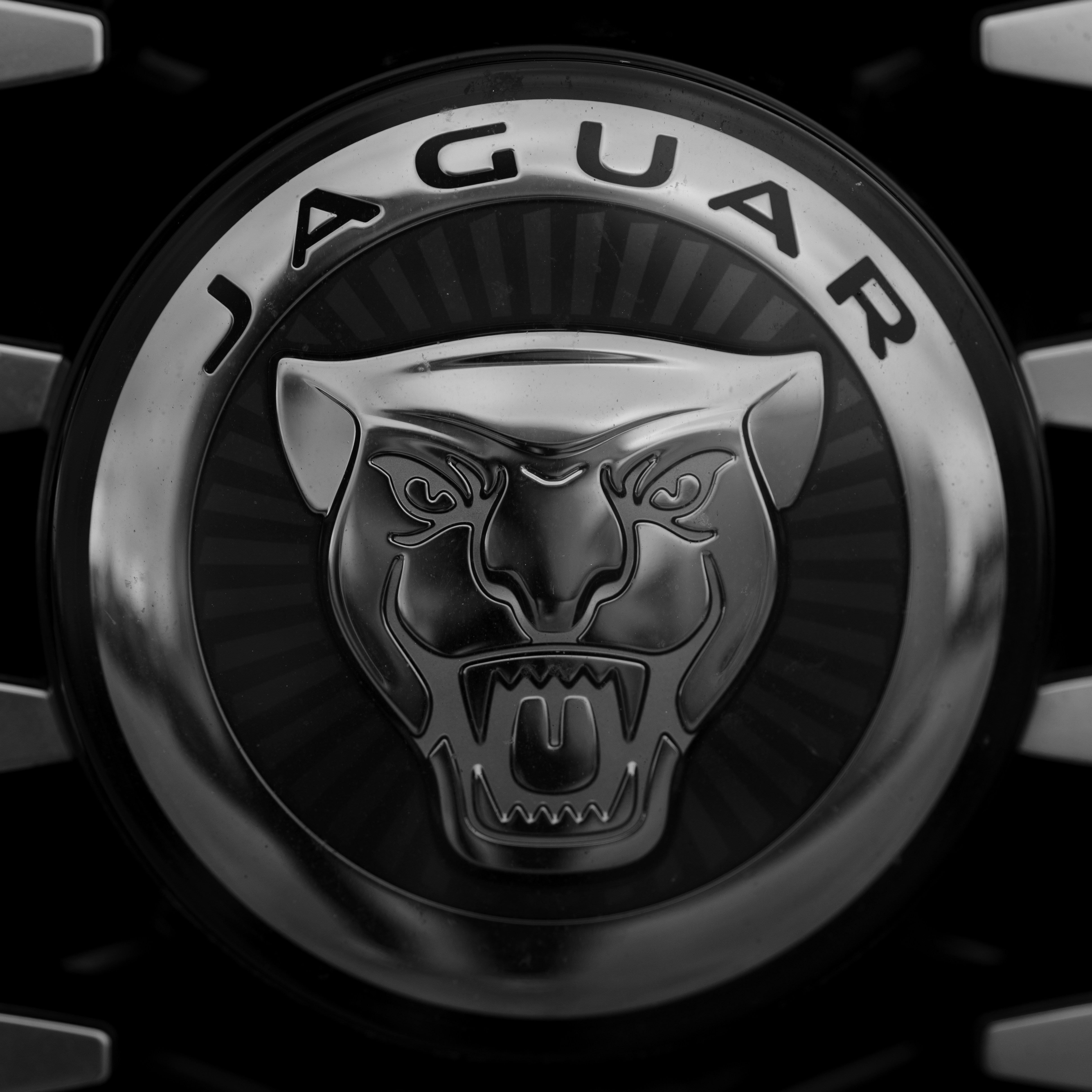 Jaguar Emblem in Metallic Focus