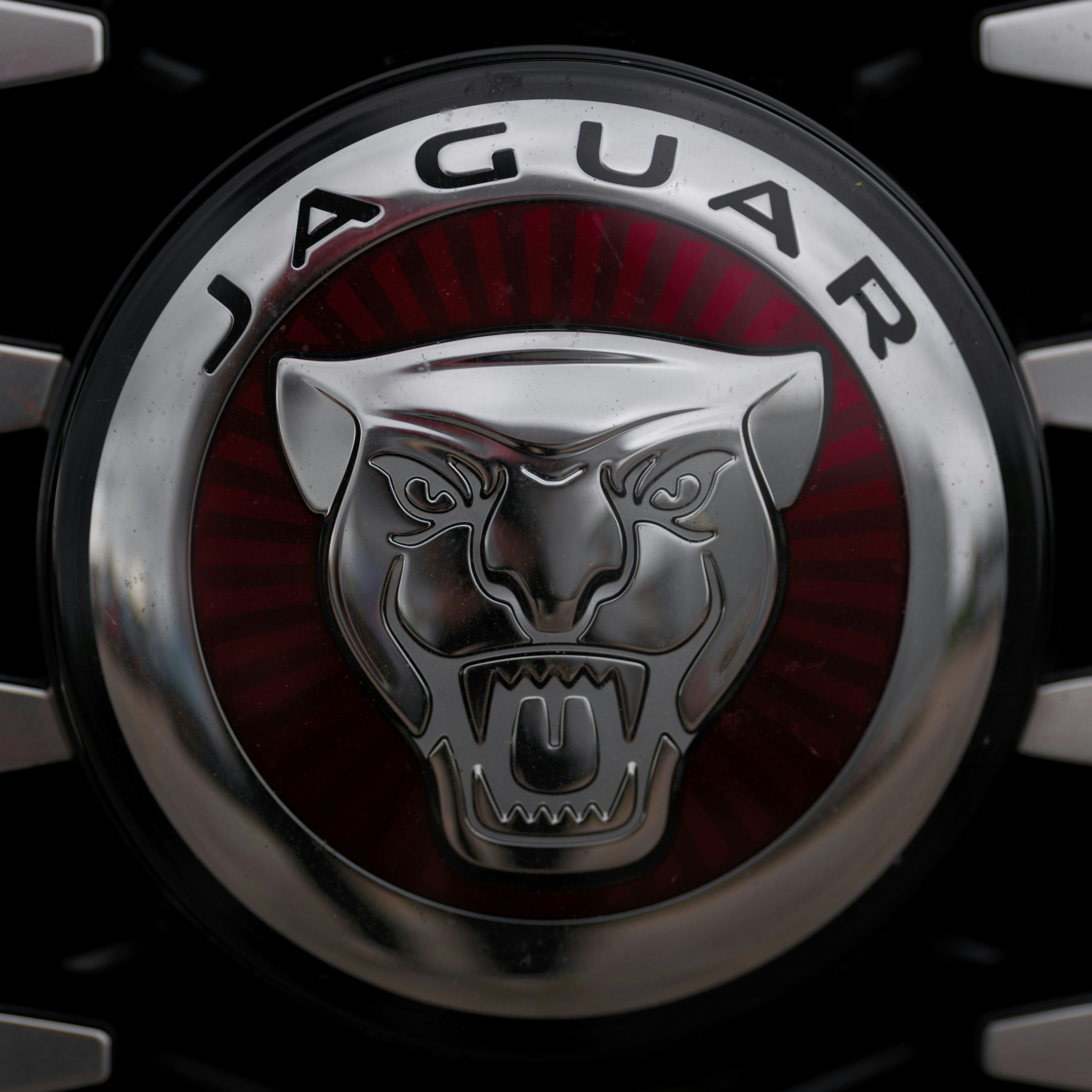 Jaguar car emblem with chrome detailing