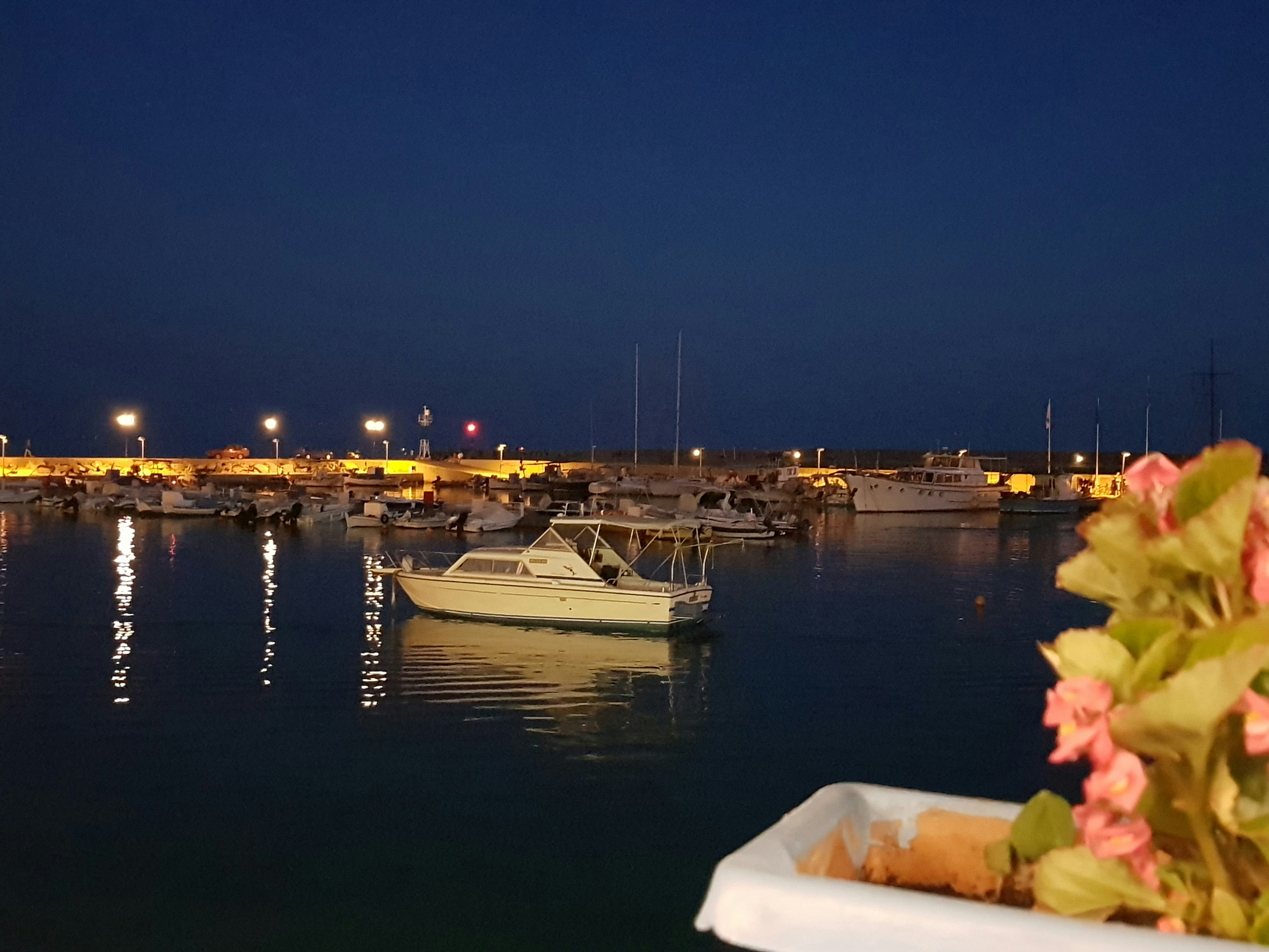 Harbor Lights: Night Boats Mirror the Quiet Marina