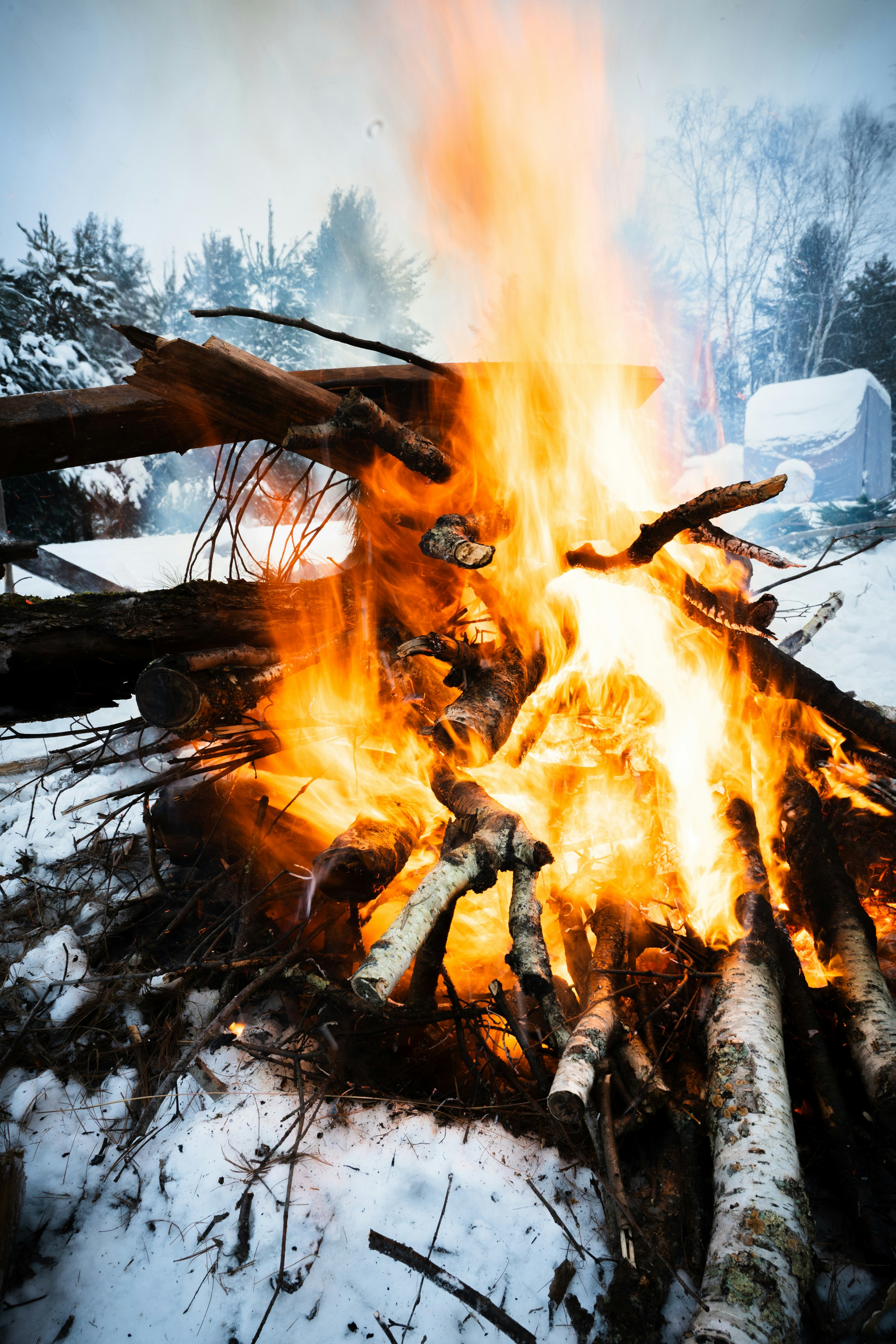 Crackling Winter Inferno: Firelight Against Snowy Pines