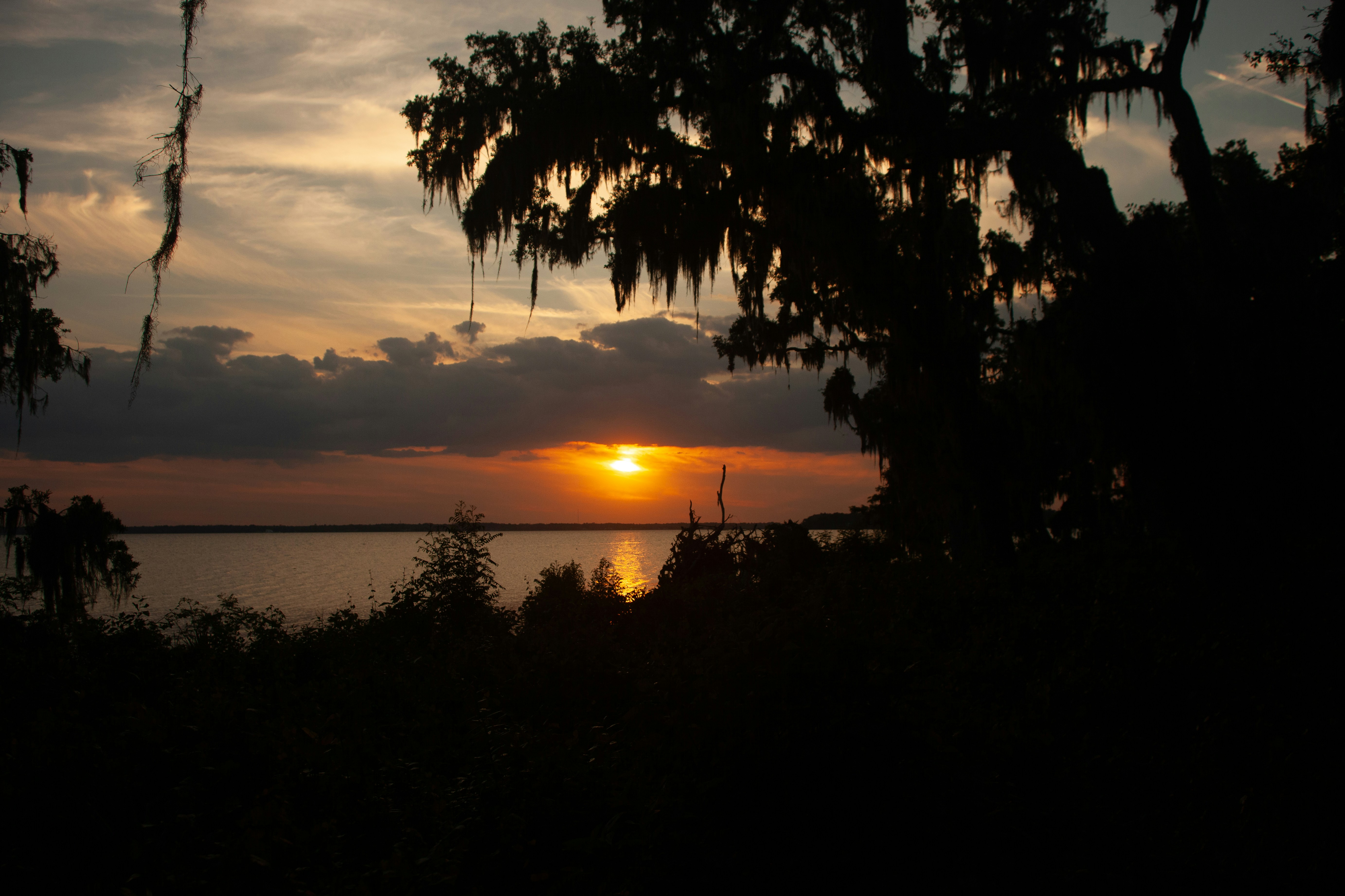 Sunset Silhouette over Calm Estuary