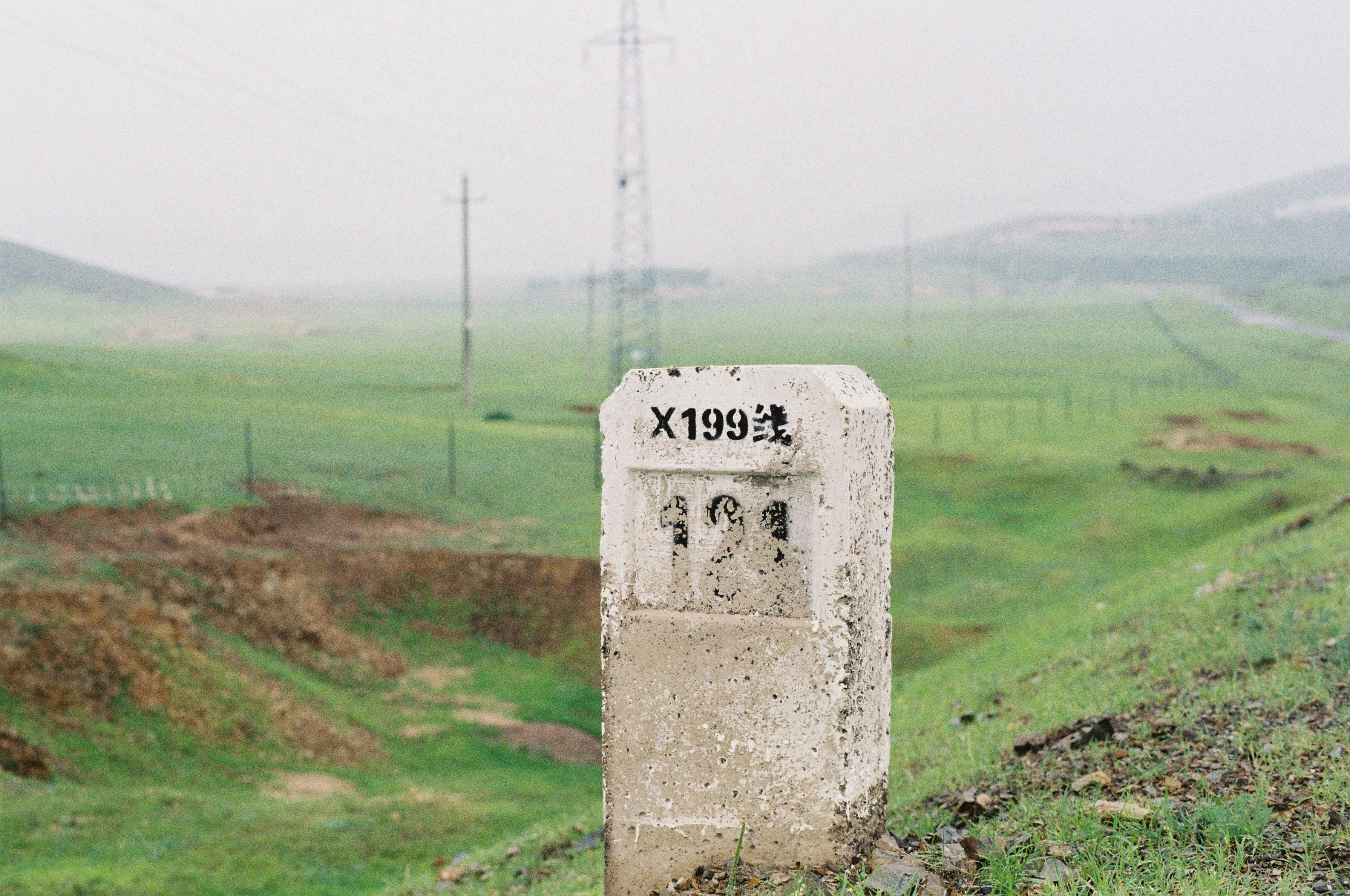 Concrete Marker in Mossy Field: A Quiet Boundary Between Past and Power Lines
