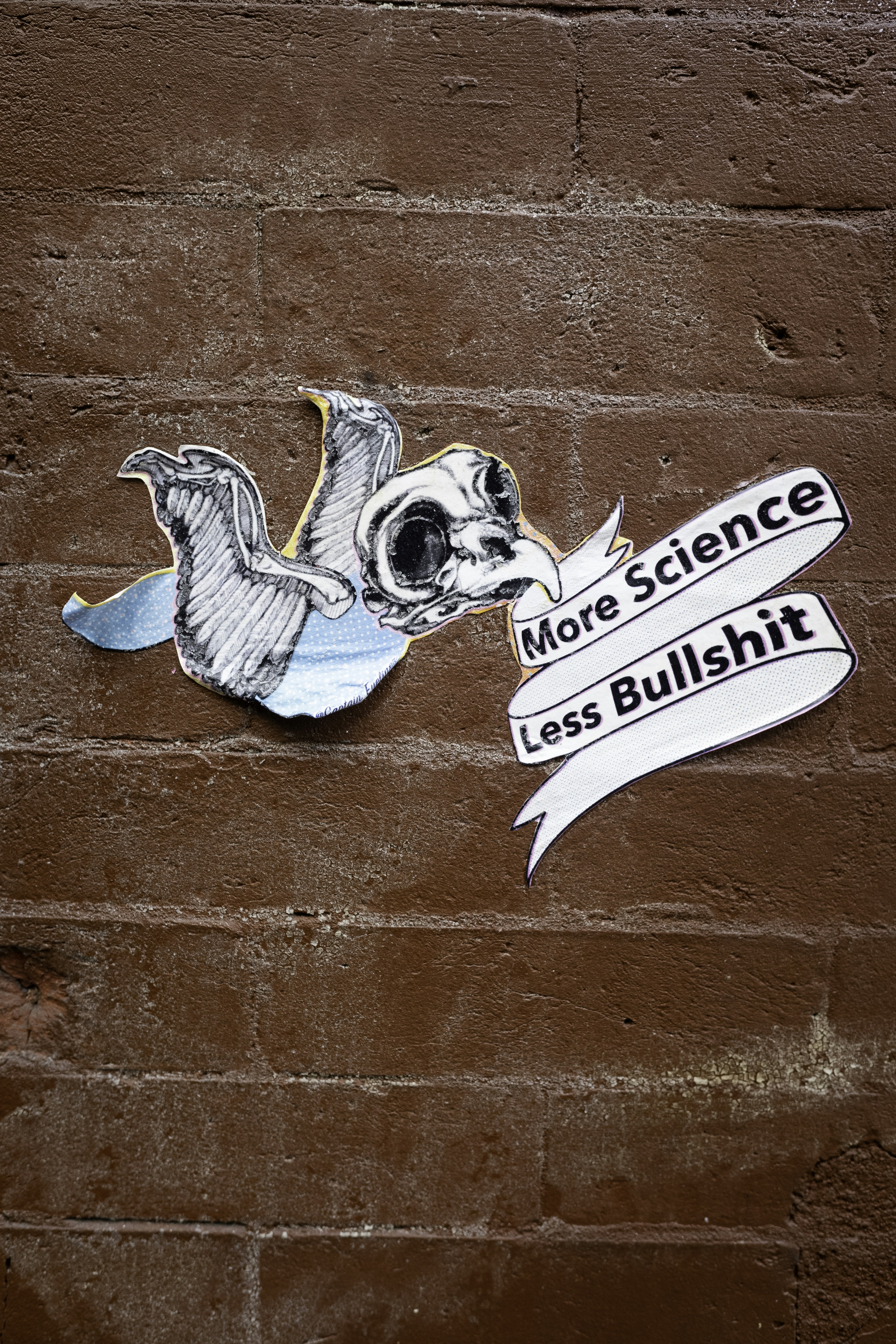 Graffiti Skull and Banner: More Science, Less Bullshit on Red Brick